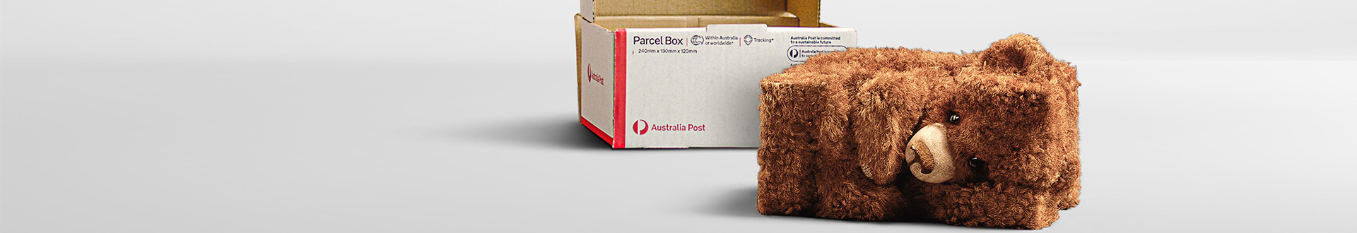 Flat Rate Packaging – Australia Post