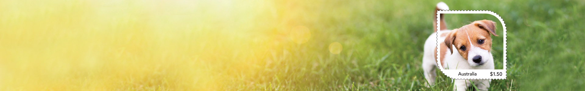 Buy personalised or custom stamps online