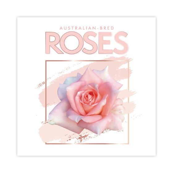 Australian-Bred Roses Collection - Previous years impressions