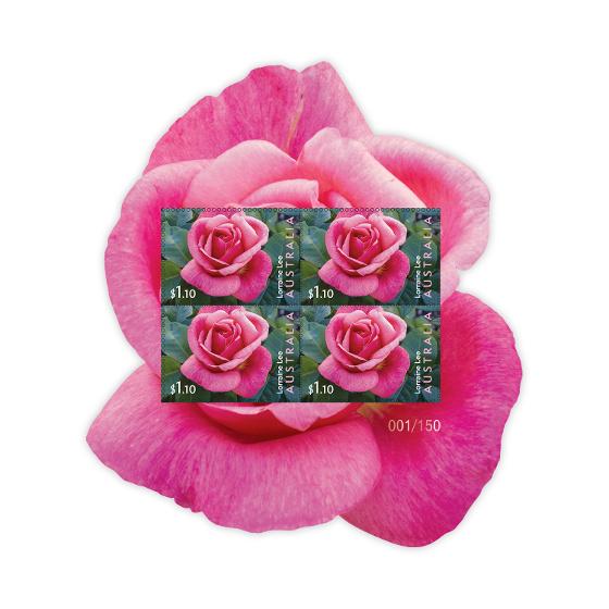 Australian-Bred Roses Collection - Previous years impressions