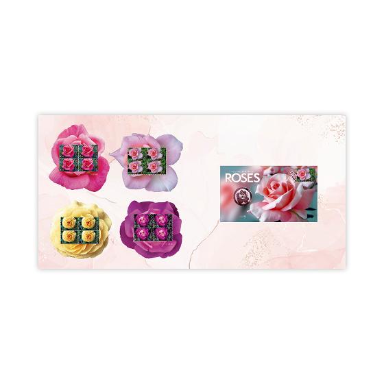 Australian-Bred Roses Collection - Previous years impressions