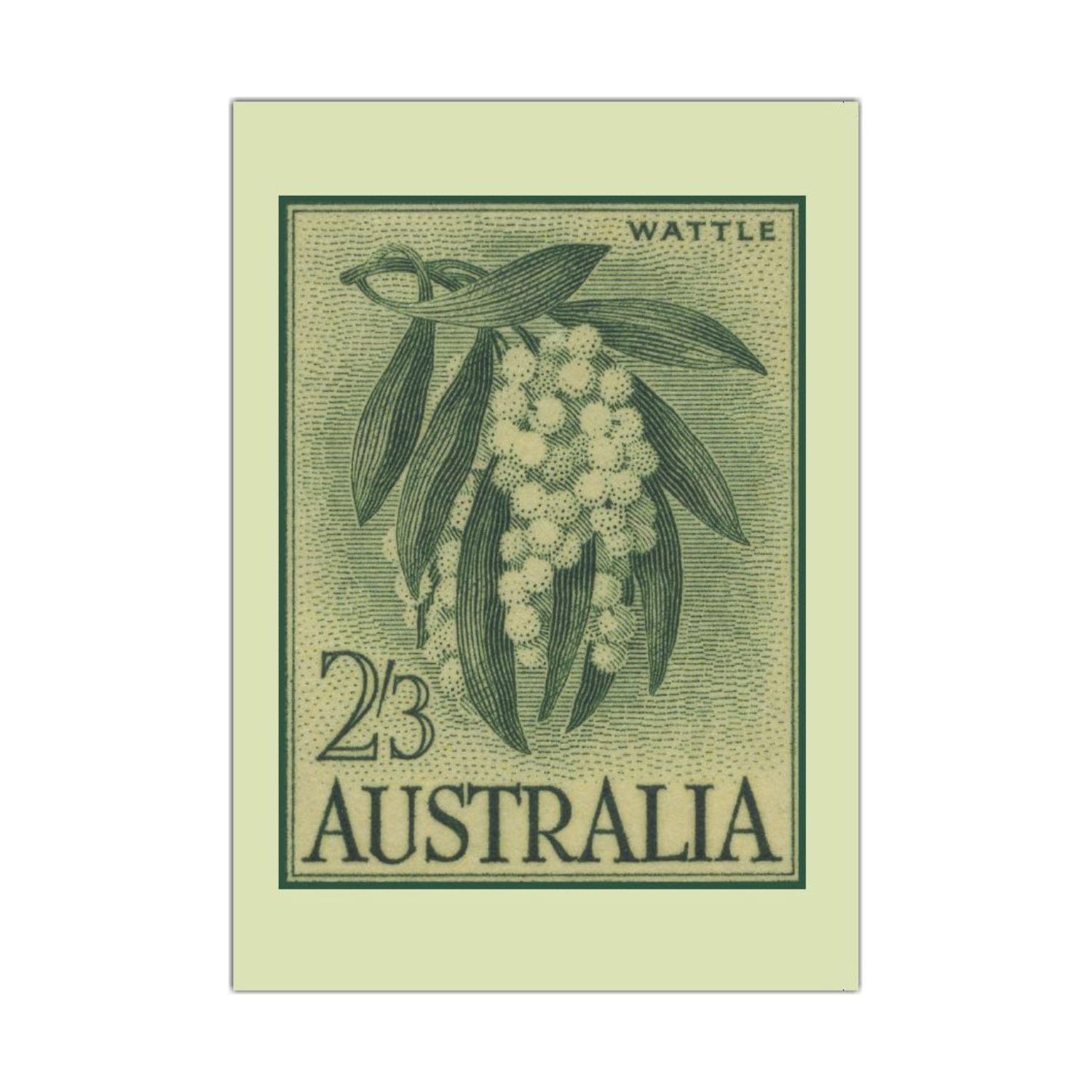 Australia Post Greeting Cards 'Wattle Stamp' – Pack of 6 - Greeting cards