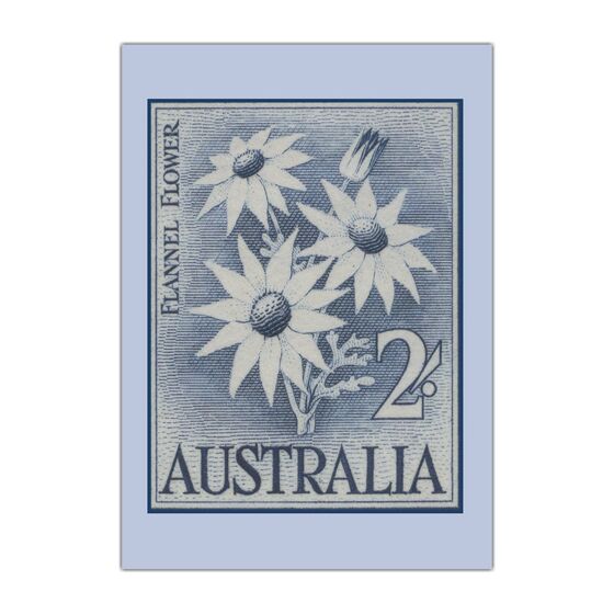 Australia Post Greeting Cards 'Flannel Flower Stamp' – Pack of 6 ...