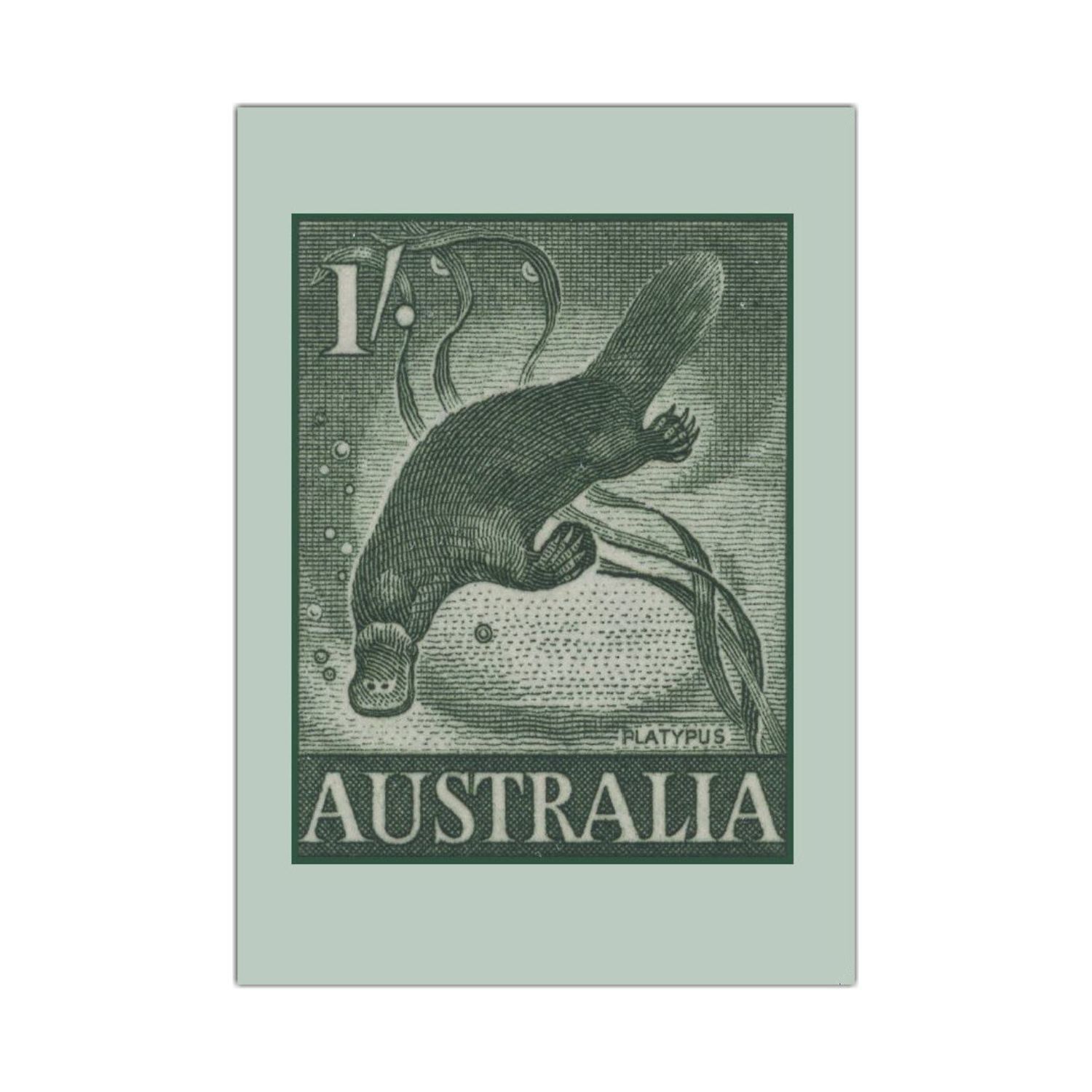 Australia Post Greeting Cards 'Platypus Stamp' – Pack of 6 - Greeting cards
