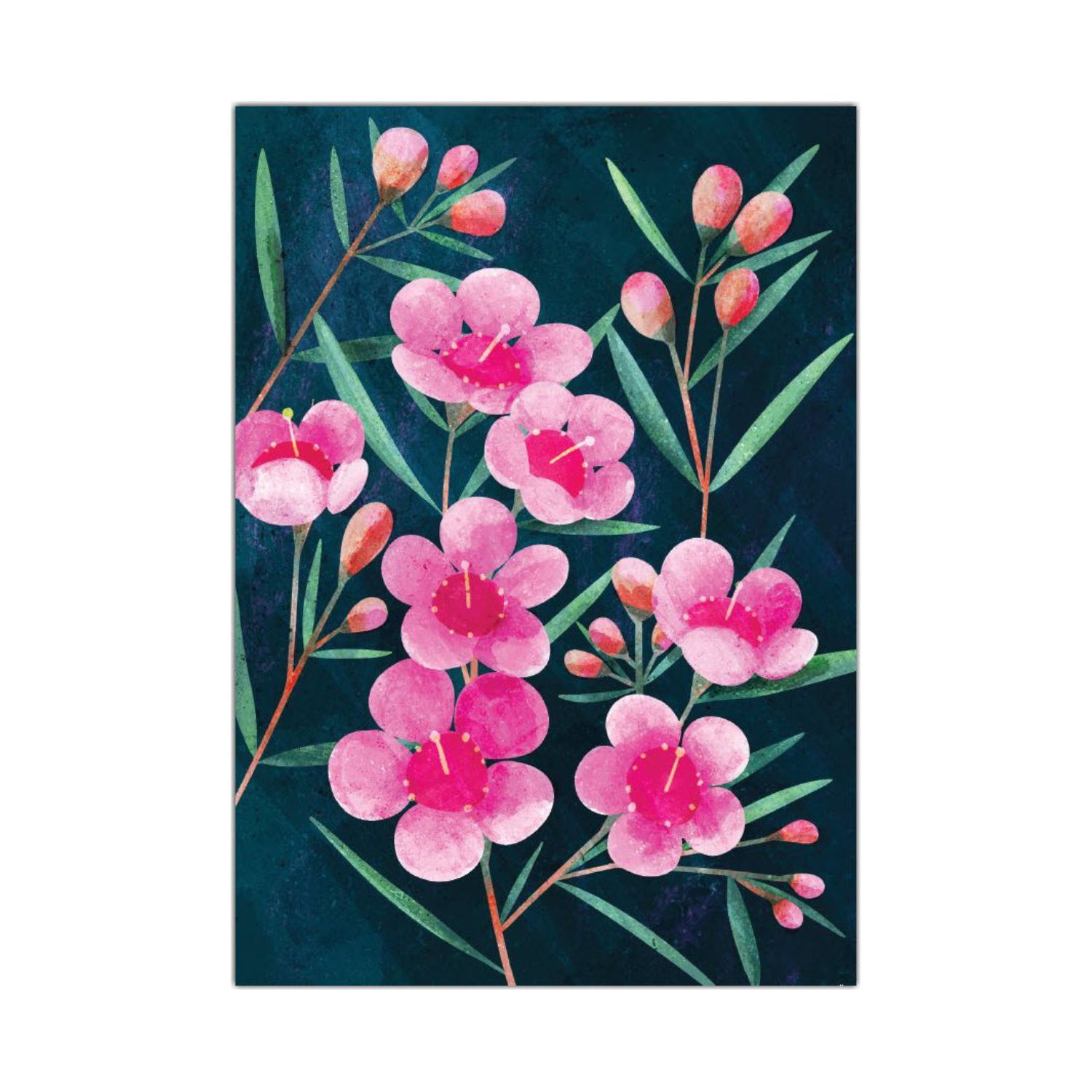 Rachel Gyan Greeting Cards 'Wax Flower' – Pack of 6 - Greeting cards