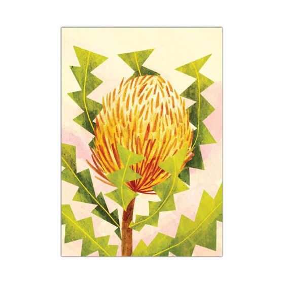 Rachel Gyan Greeting Cards 'Banksia Baxteri' – Pack of 6 - Greeting cards