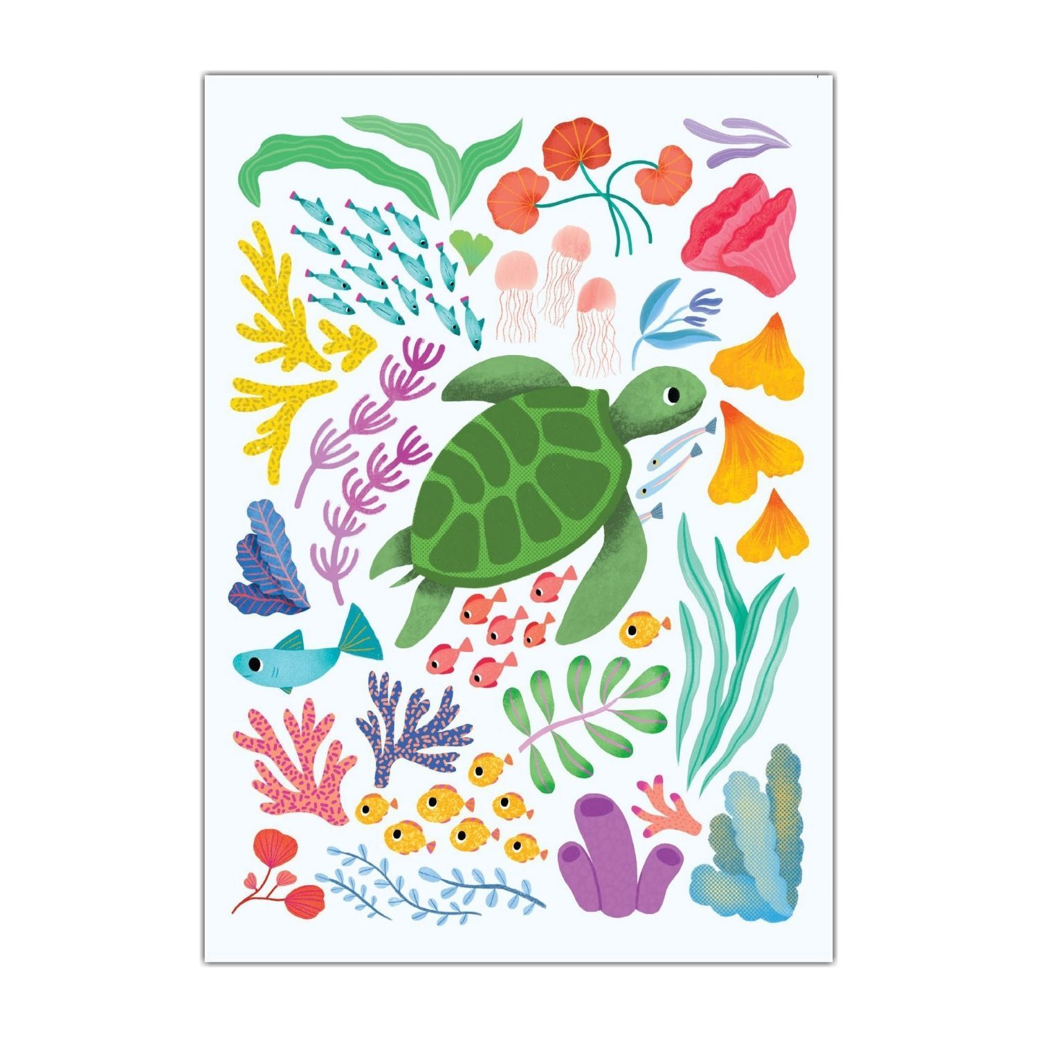 Cat MacInnes Greeting Cards 'Green Turtle' – Pack of 6 - Greeting cards