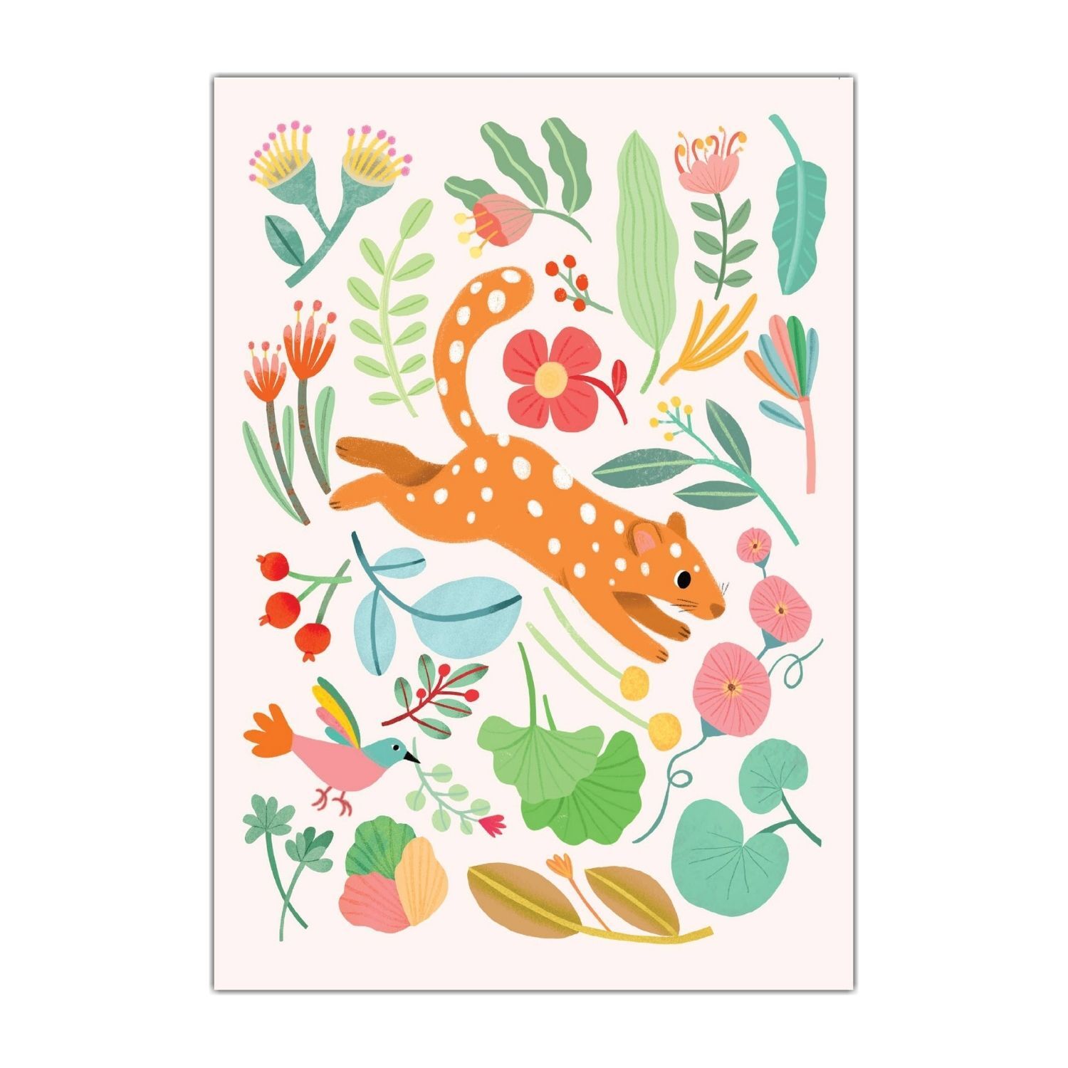 Cat MacInnes Greeting Cards 'Eastern Quoll' – Pack of 6 - Greeting cards