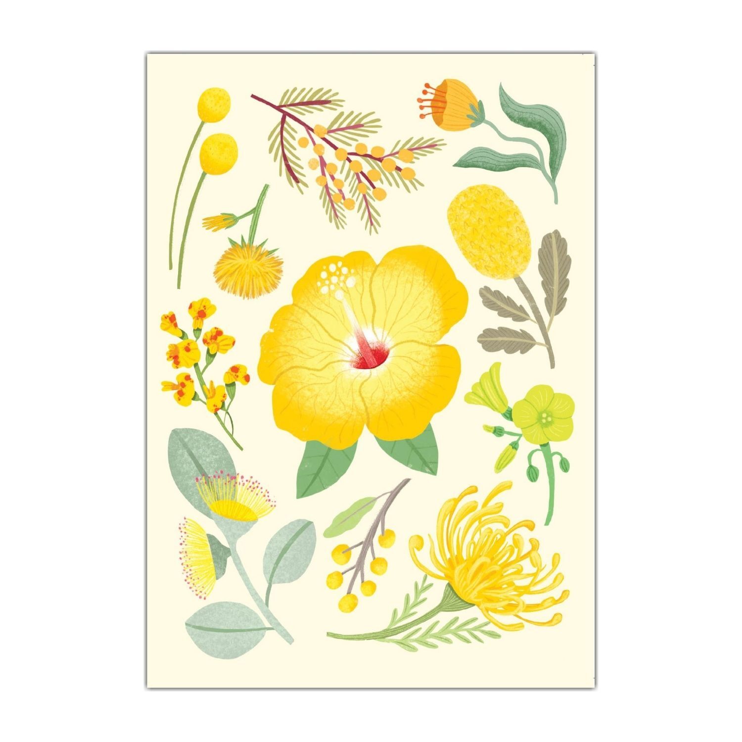 Cat MacInnes Greeting Cards Golden Flowers & Foliage – Pack of 6 ...