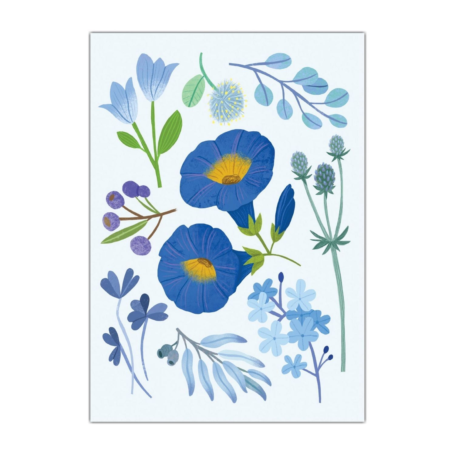 Cat MacInnes Greeting Cards Peaceful Flowers & Foliage – Pack of 6 ...