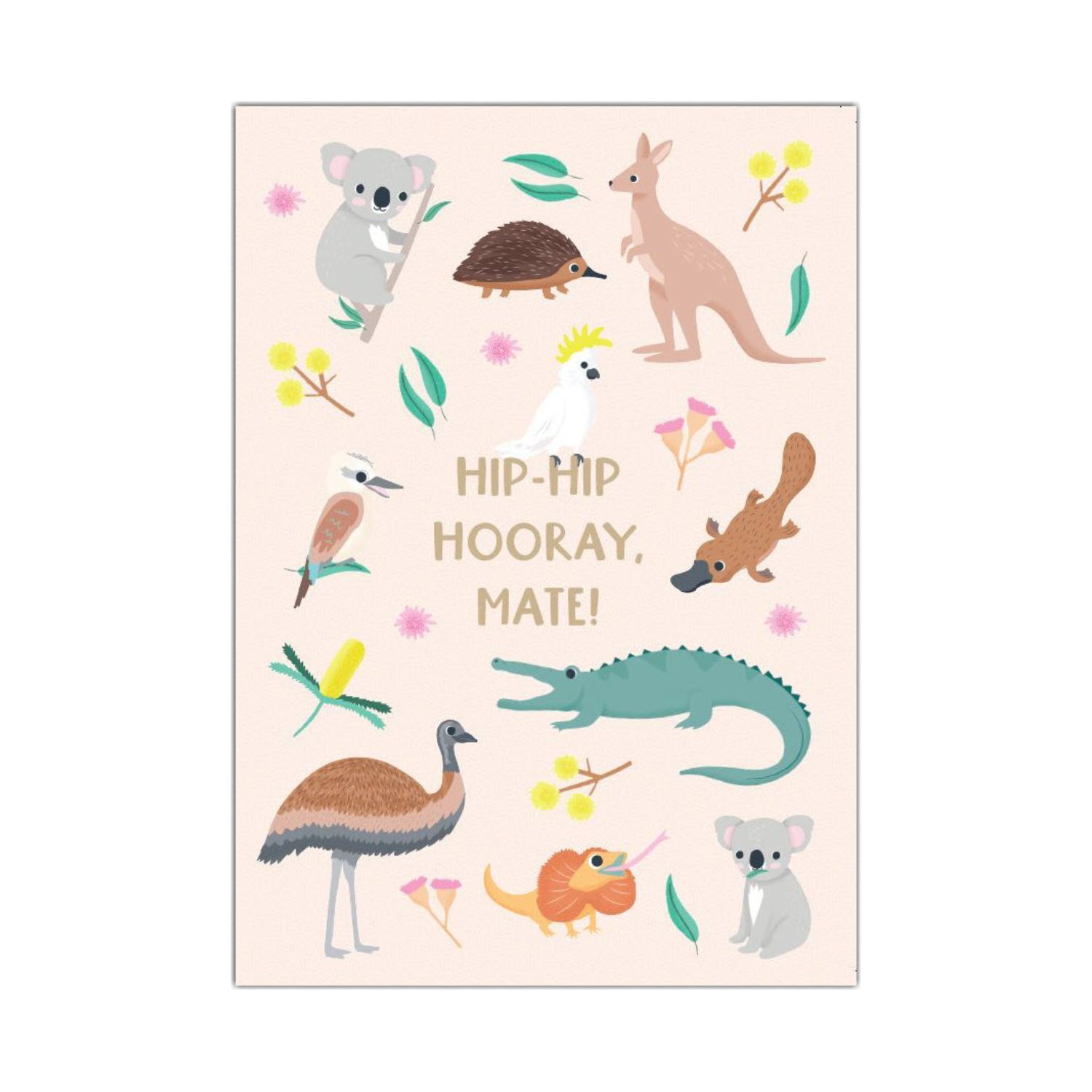 Eliza Wilson Greeting Cards 'Hooray Mate!' – Pack of 6 - Greeting cards