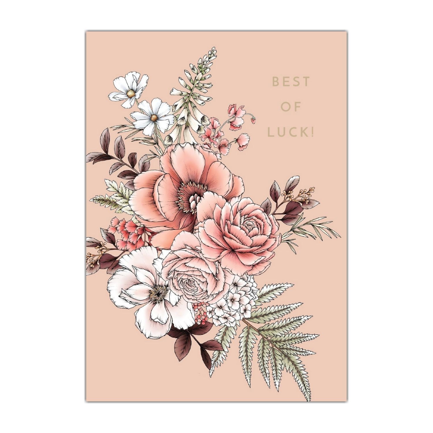 Shannon Cheung Greeting Cards 'Best of Luck!' – Pack of 6 - Greeting cards