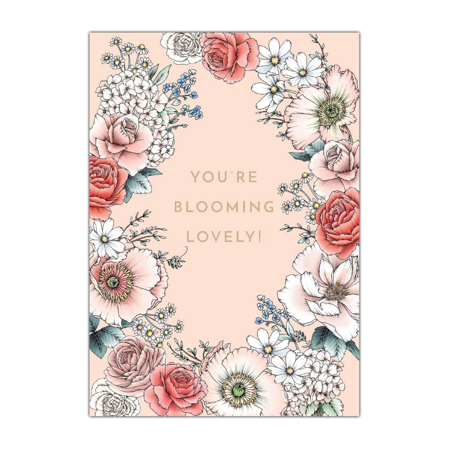 Shannon Cheung Greeting Cards 'You're Blooming Lovely!' – Pack of 6 ...