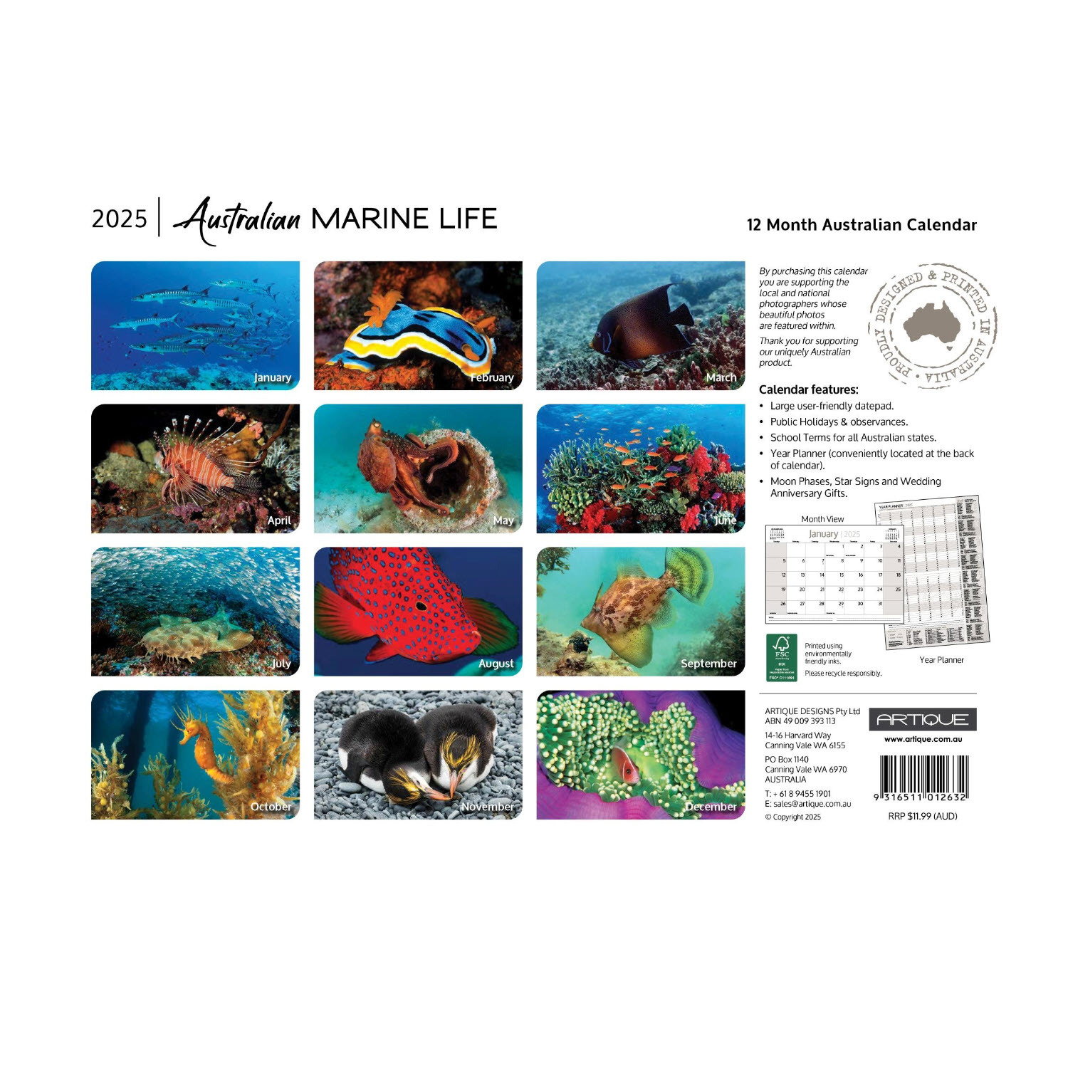 Australian Marine Life 2025 Calendar - Notebooks and diaries