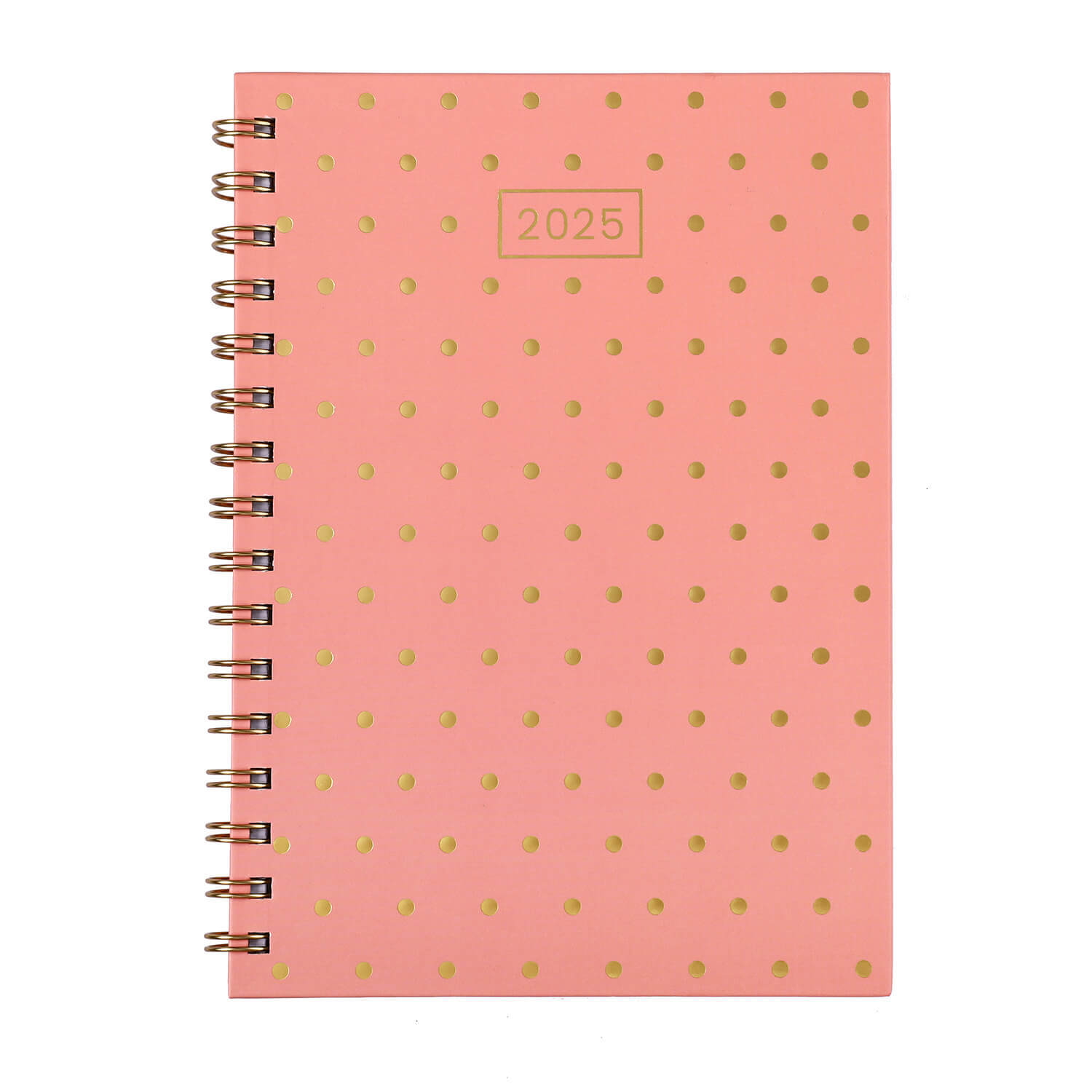 2025 JoyUp A5 Spiral Spot Diary - Stationery