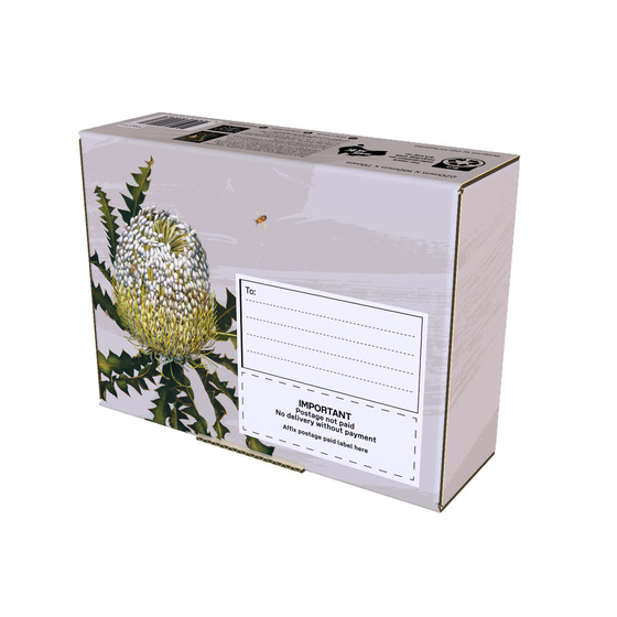 Bell Art Banksia Large Gift Box – 5 Pack - Gift packaging