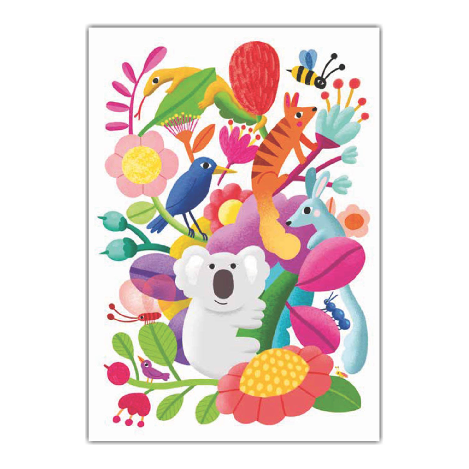 Cat MacIness Greeting Cards 'Koala' – Pack of 6 - Greeting cards