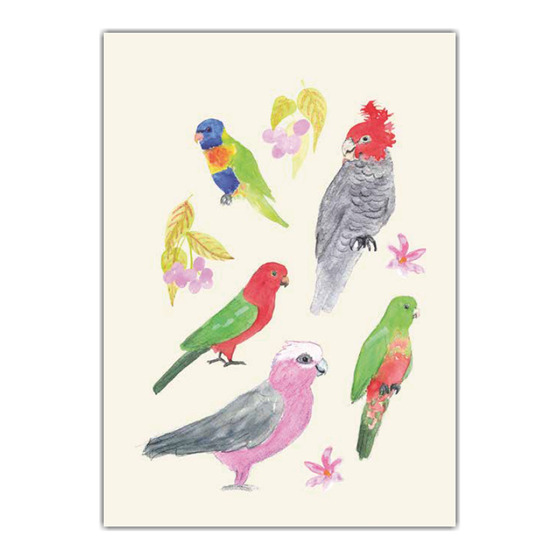 Dancing with Juniper Greeting Cards 'Barry's Bird Group' – Pack of 6 ...