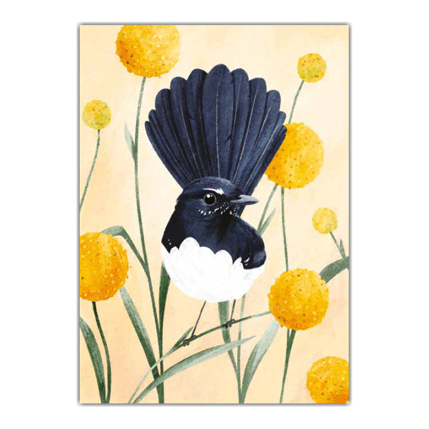 Rachel Gyan Greeting Cards 'Willie Wagtail' – Pack of 6 - Greeting cards
