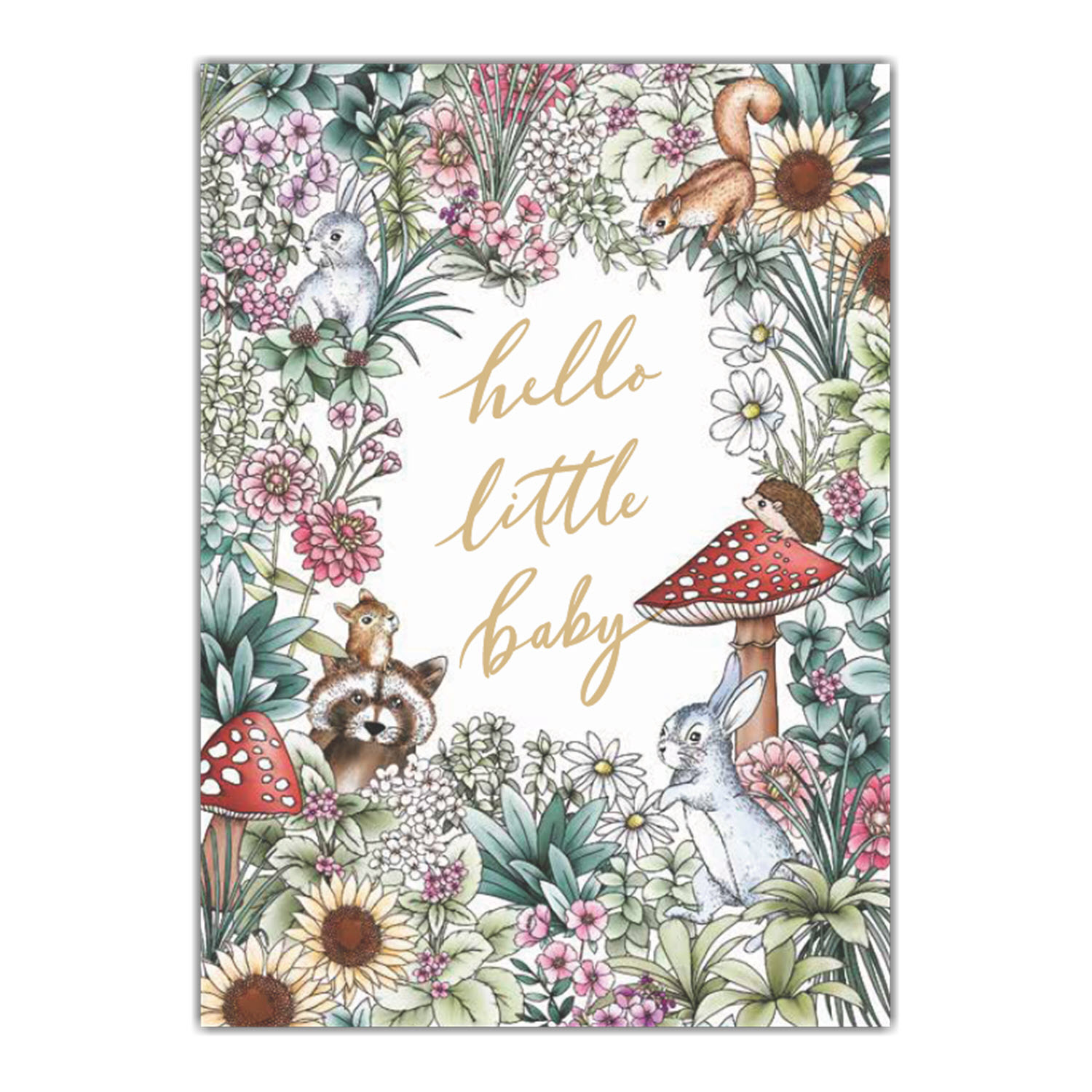 Shannon Cheung Greeting Cards 'Hello Little Baby' – Pack of 6 ...