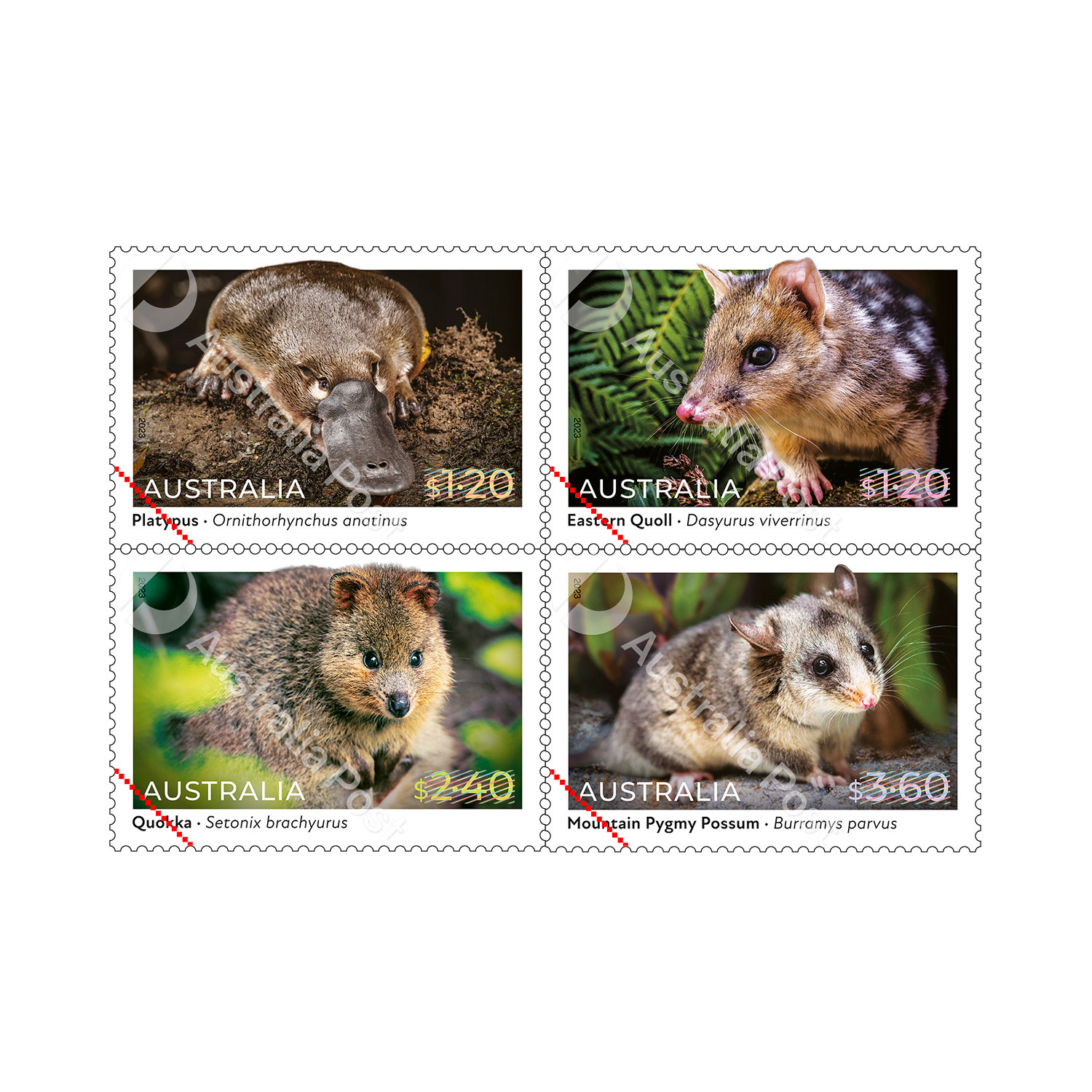 Set of Native Animals Gummed Stamps