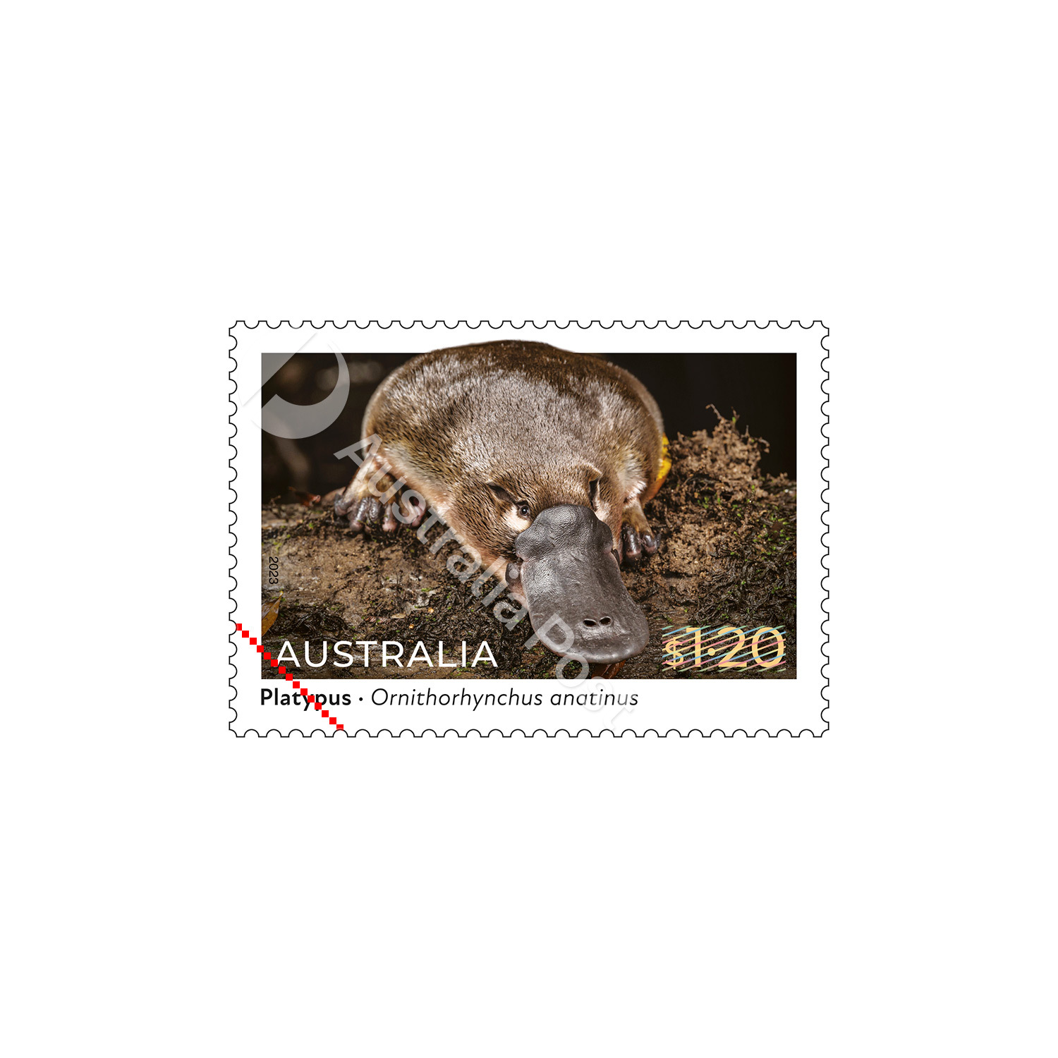Set of Native Animals Gummed Stamps
