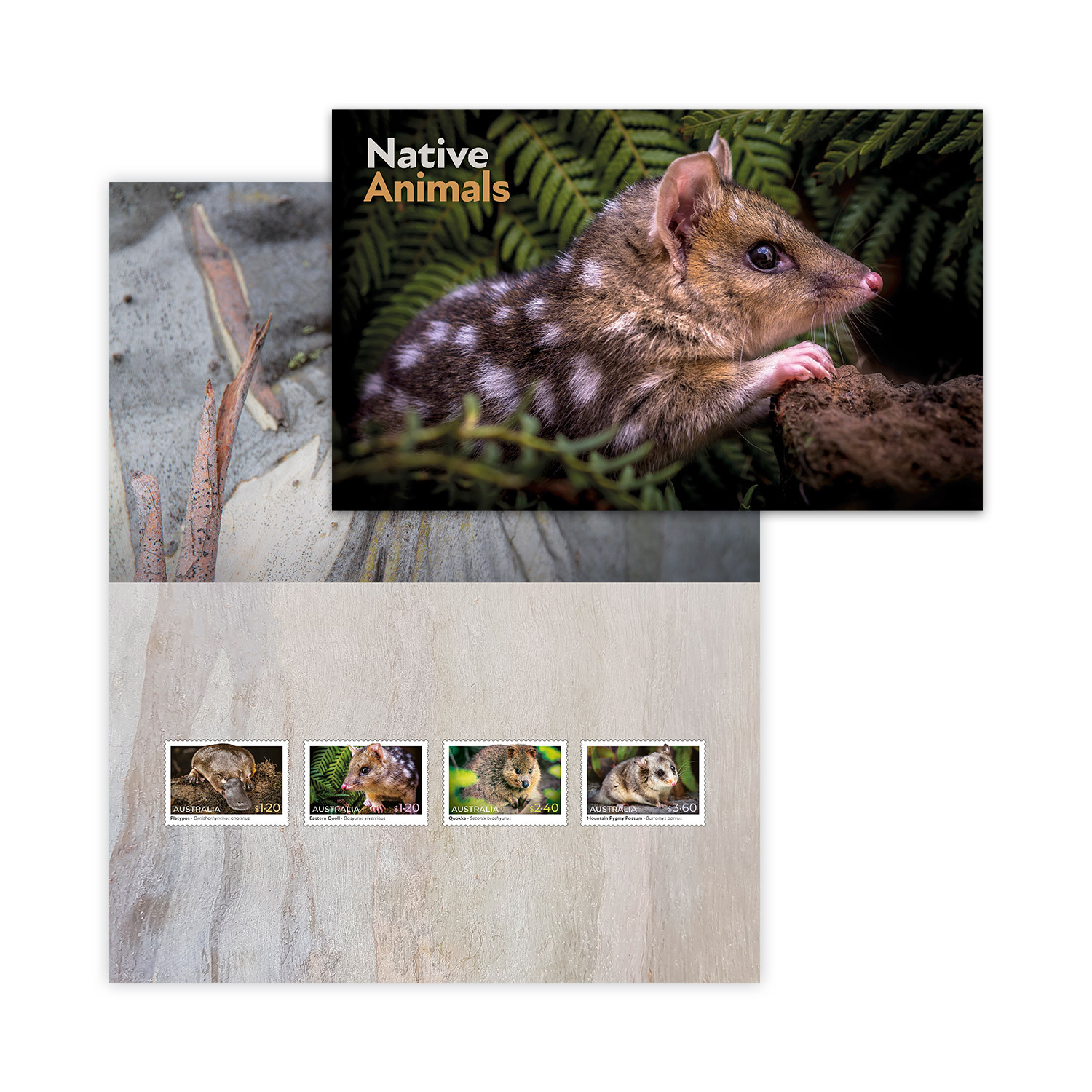 Native Animals Stamp Pack
