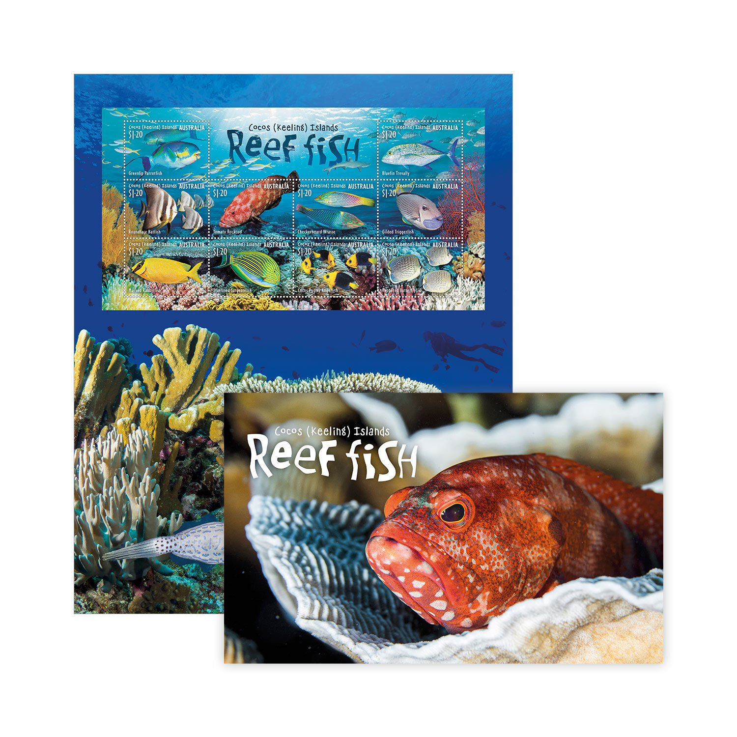 Reef Fish Stamp Pack - Reef Fish