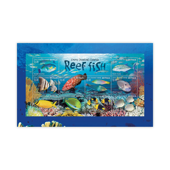 Reef Fish Stamp Pack - Reef Fish
