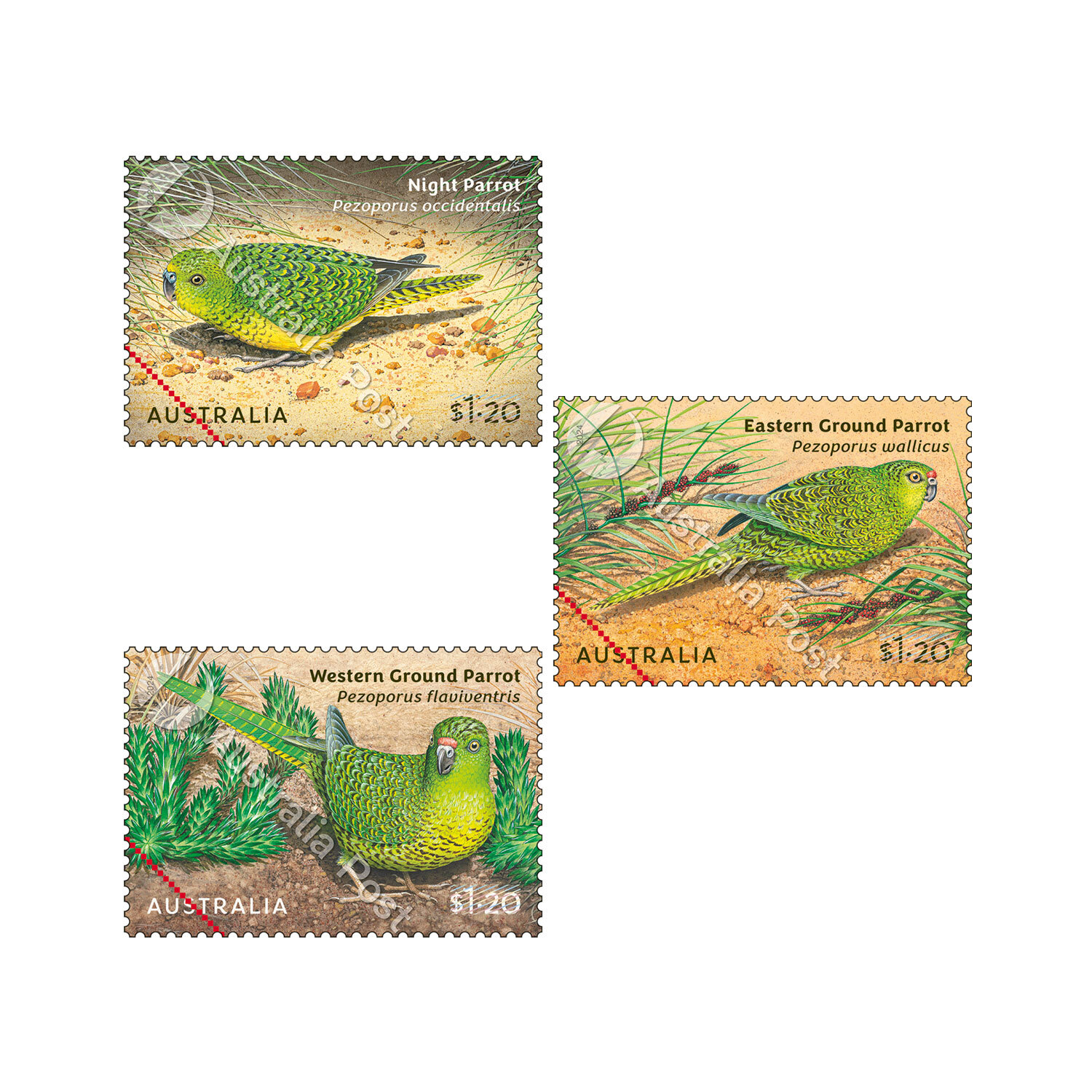 Australian Ground Parrots Set of Stamps (3 x $1.20) - Australian Ground ...