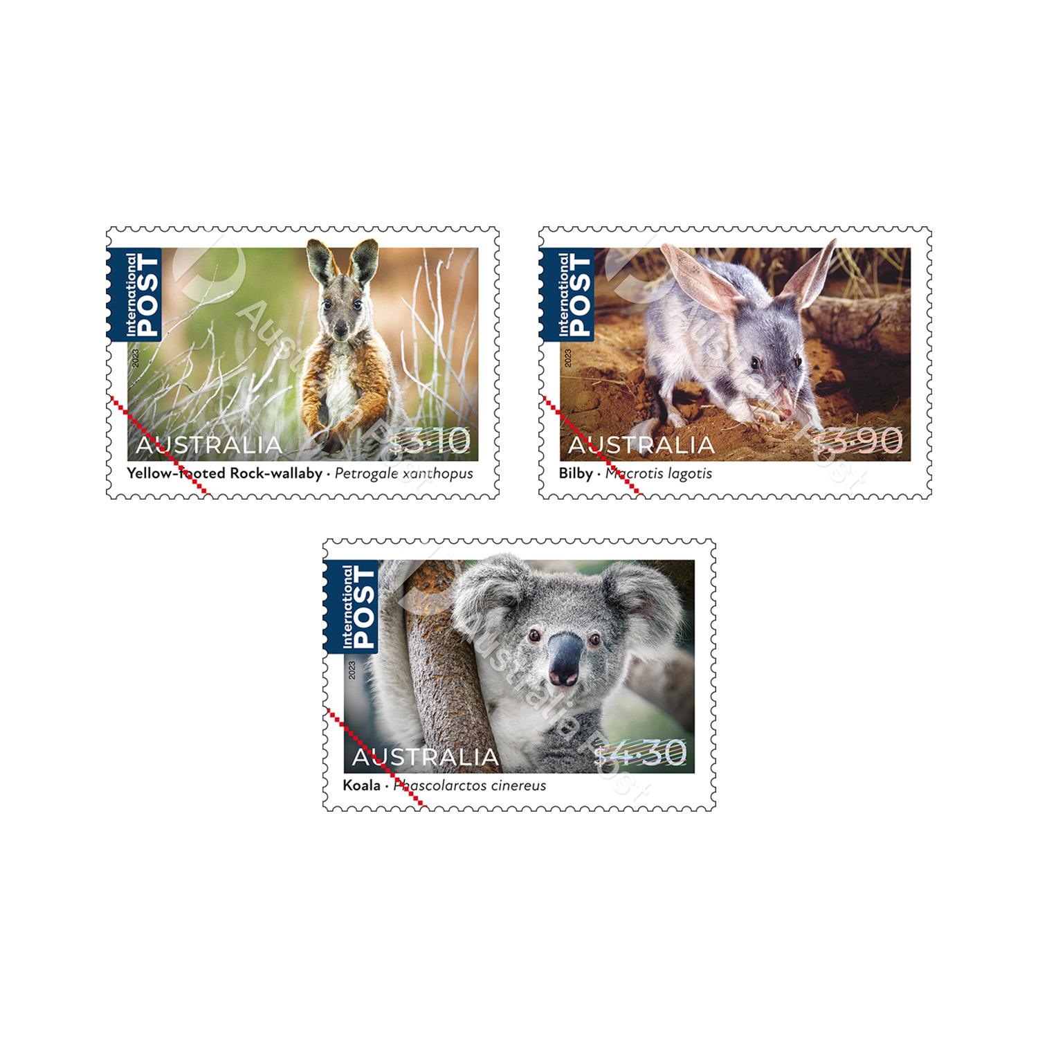 Set of Native Animals (International) Gummed Stamps