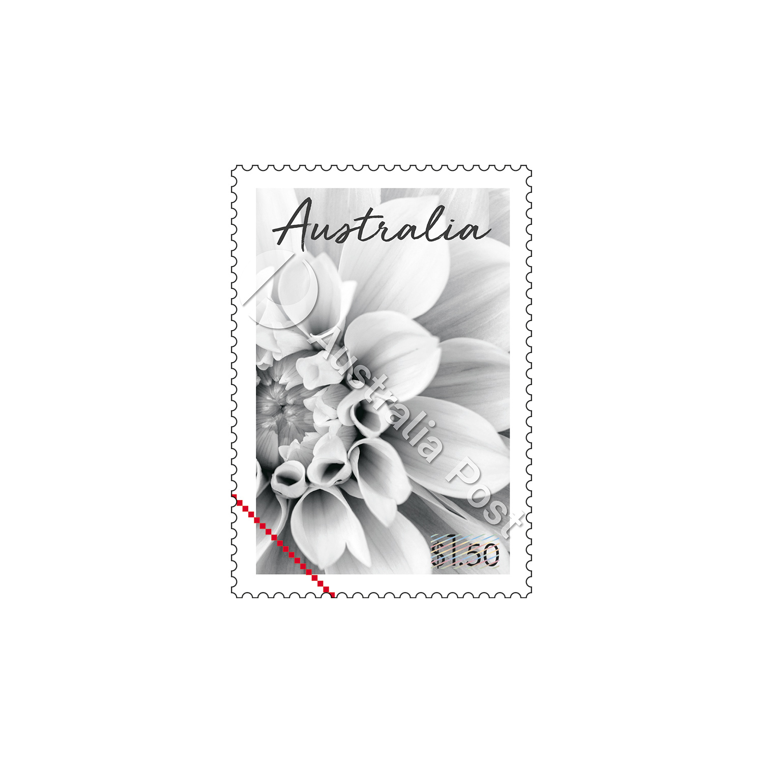 Special Occasions 2024 Set of Stamps (7 x $1.50, 1 x $3.00) - Special ...
