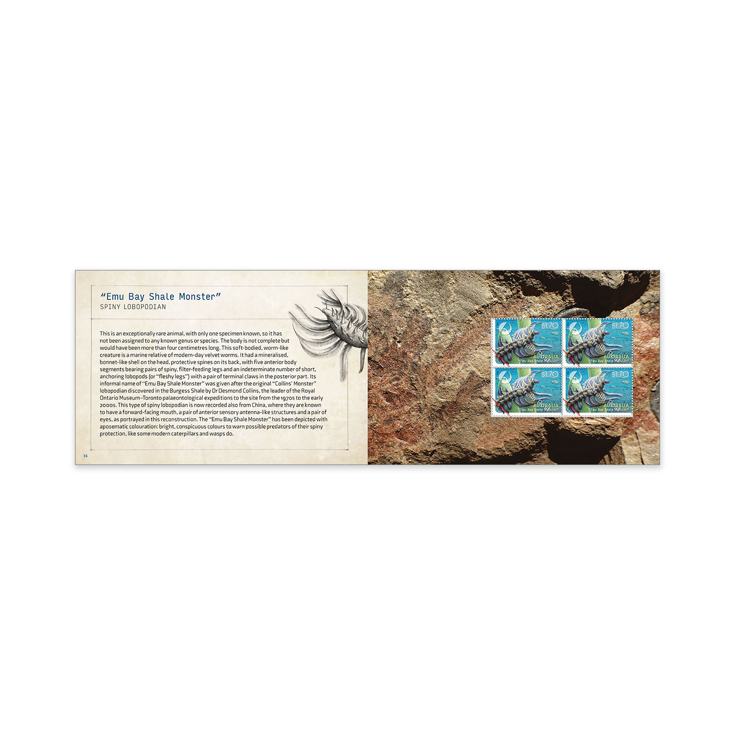 Creatures of the Palaeozoic Collection - Creatures of the Palaeozoic
