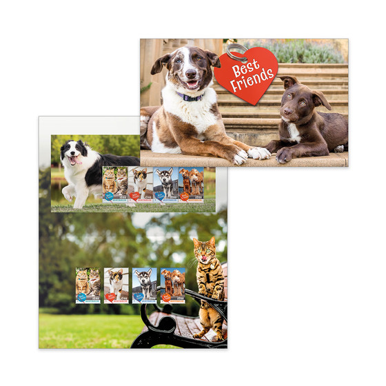 Best Friends Stamp Pack - View all