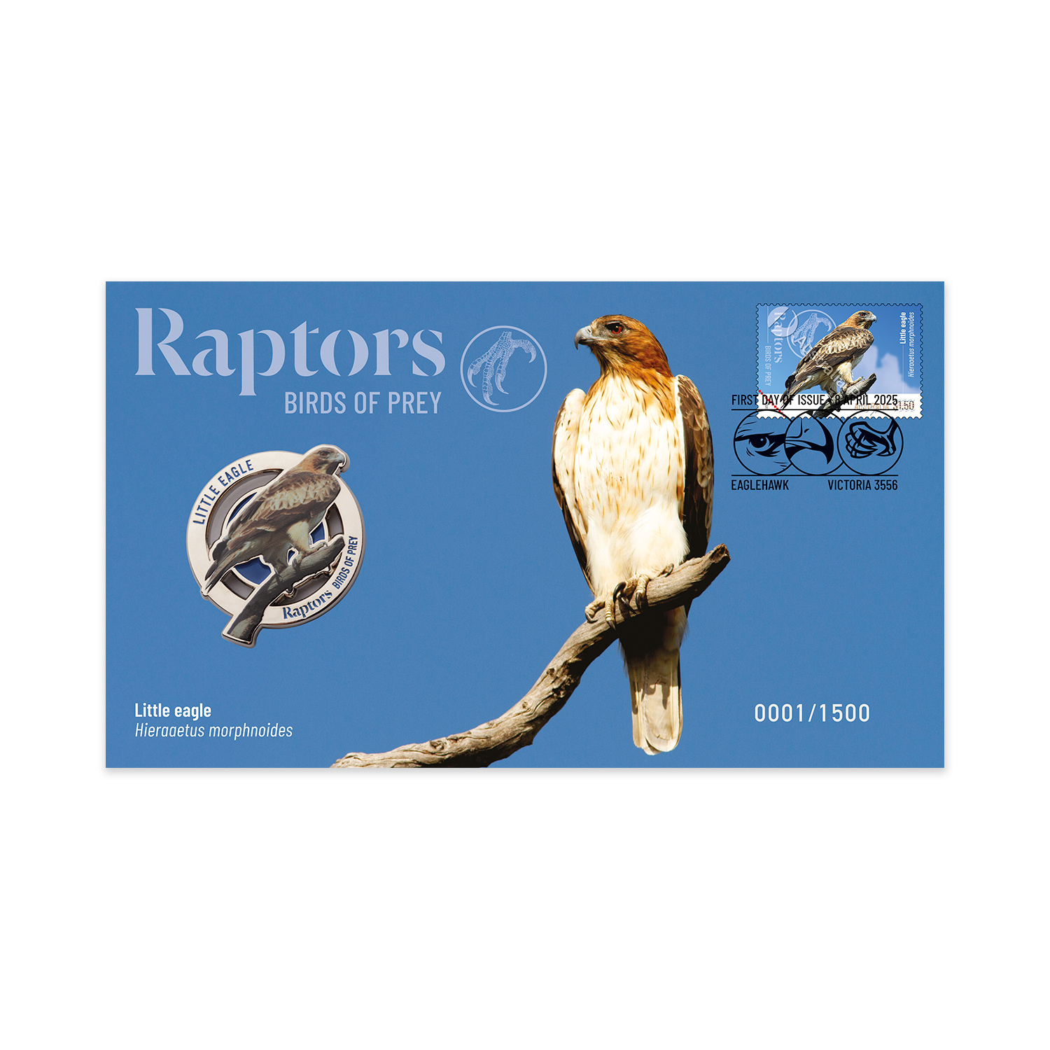 Raptors – Birds of Prey Medallion Cover – Little Eagle - Medallions