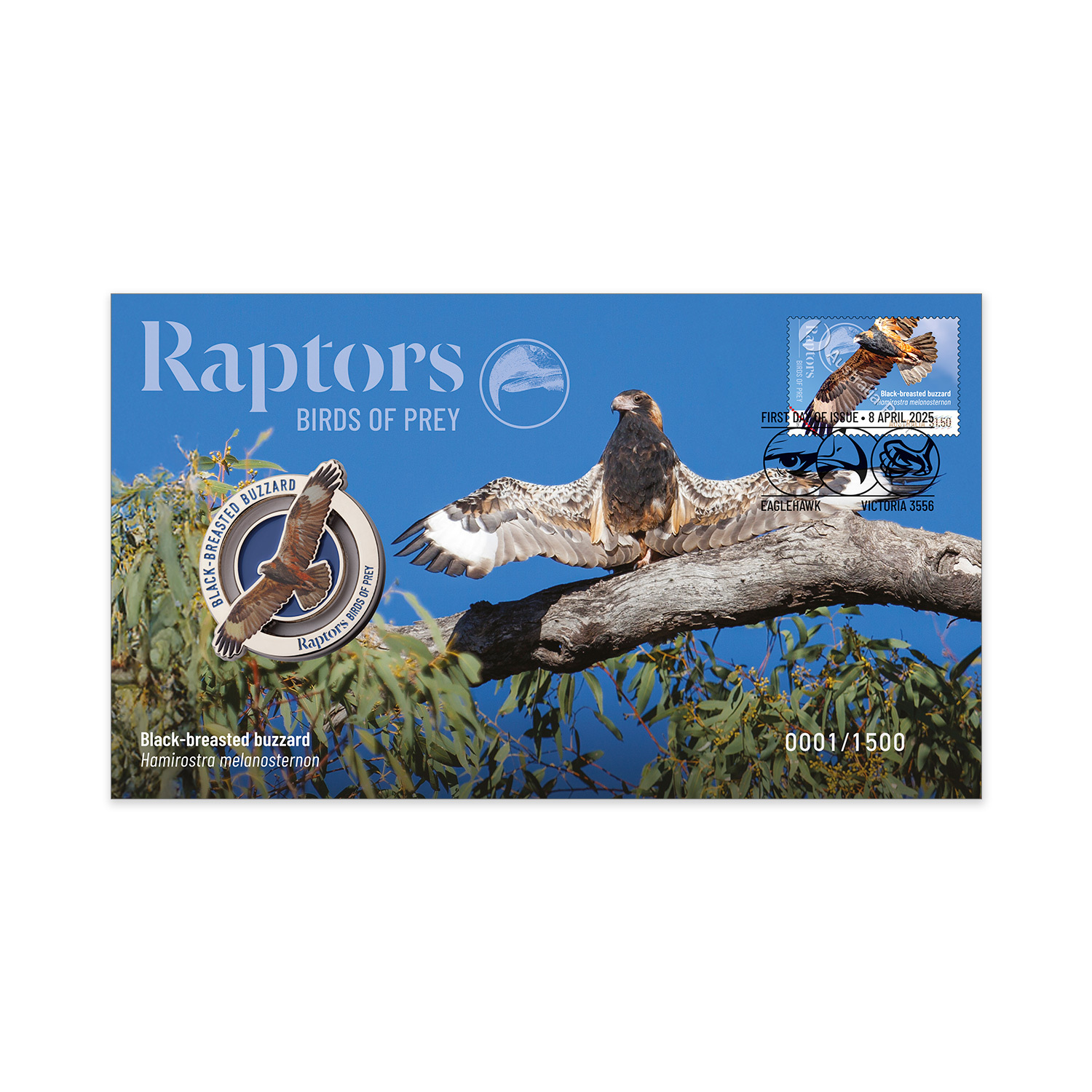 Raptors – Birds of Prey Medallion Cover – Black-breasted Buzzard ...