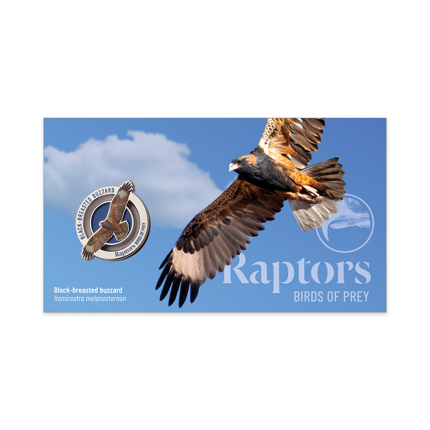 Raptors – Birds of Prey Medallion Cover – Black-breasted Buzzard ...