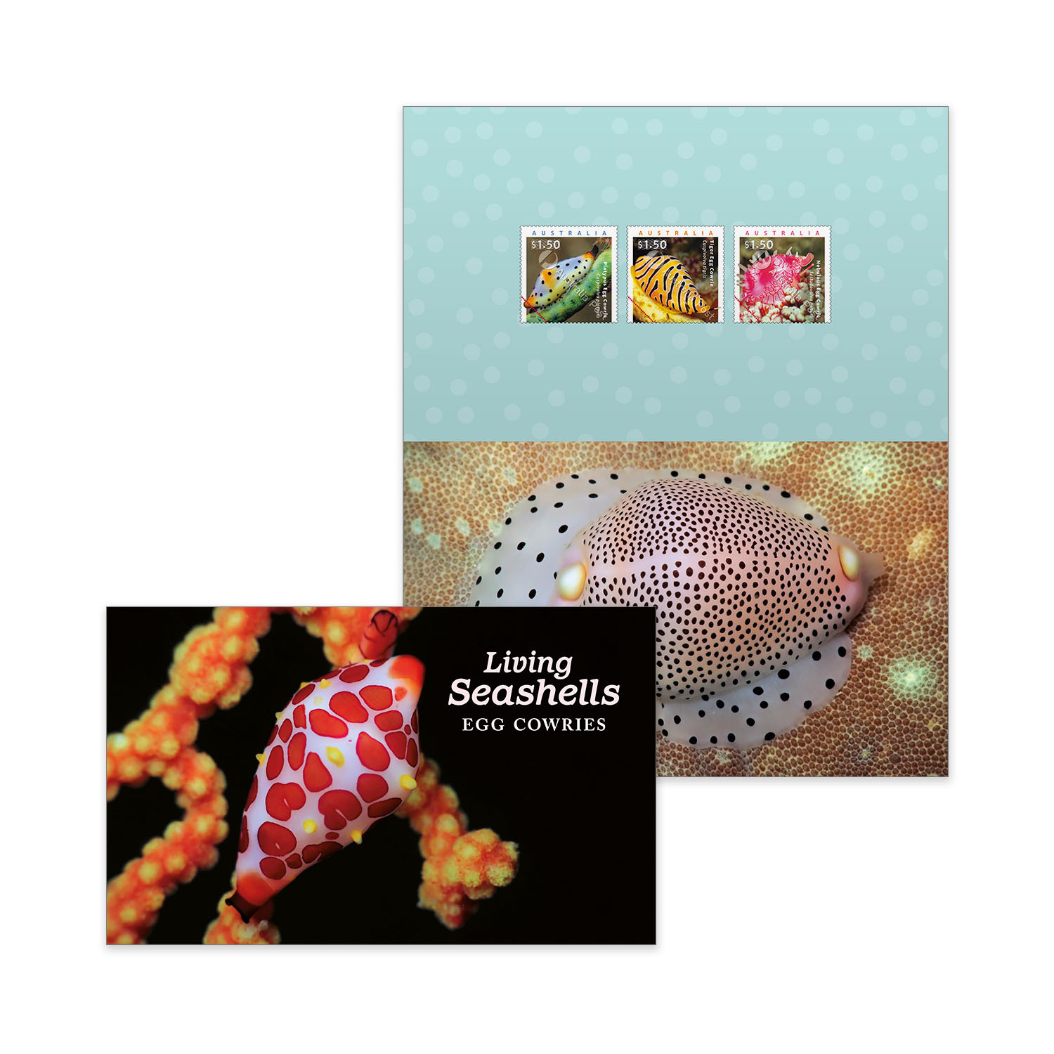 Living Seashells Stamp Pack - Stamp issues