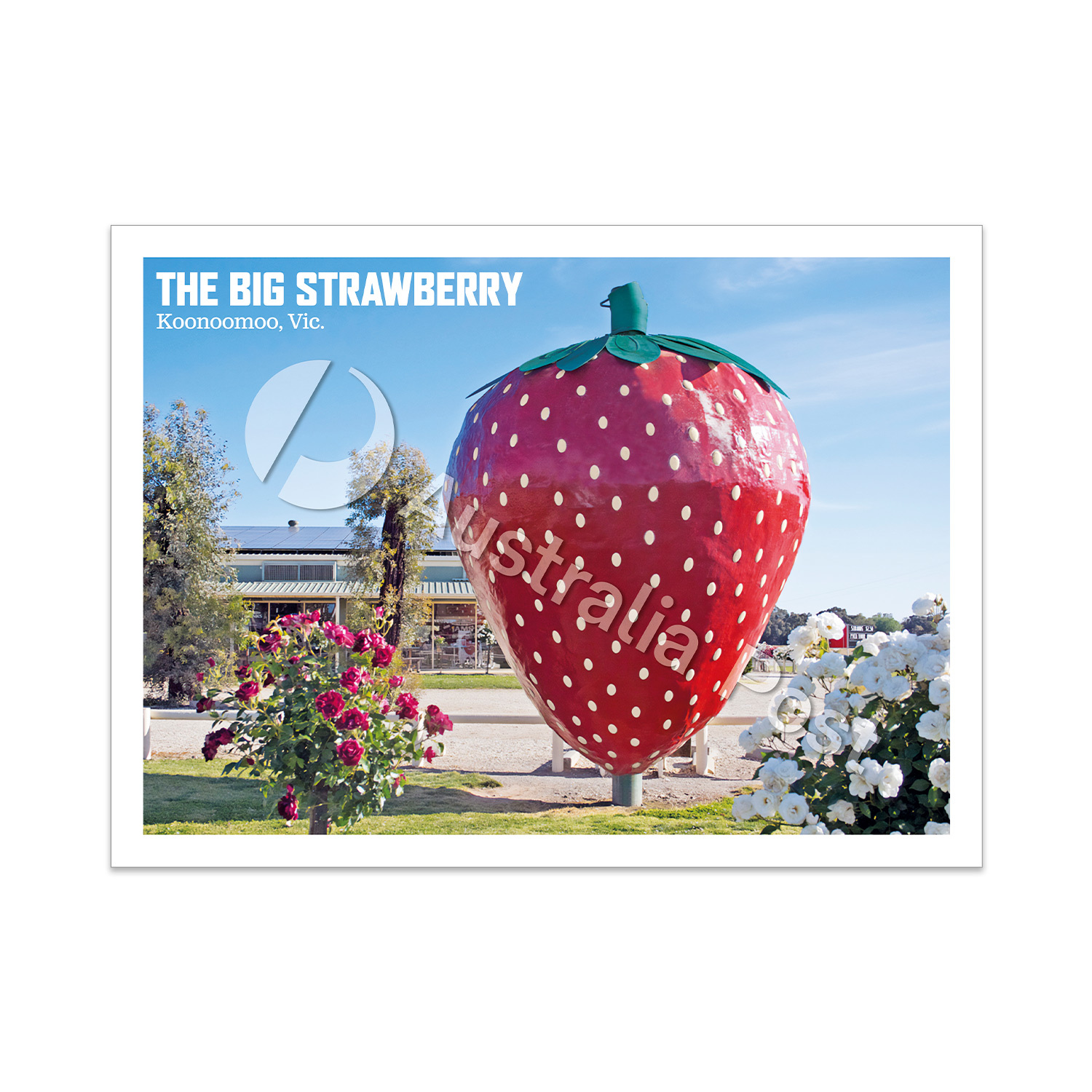 2025 Aussie Big Things 2 Postcard – The Big Strawberry - Aussie Big ...