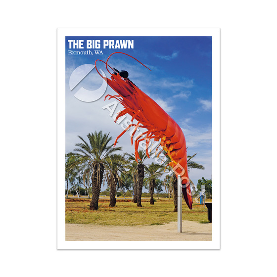 2025 Aussie Big Things 2 Postcard – The Big Prawn - Aussie Big Things 2