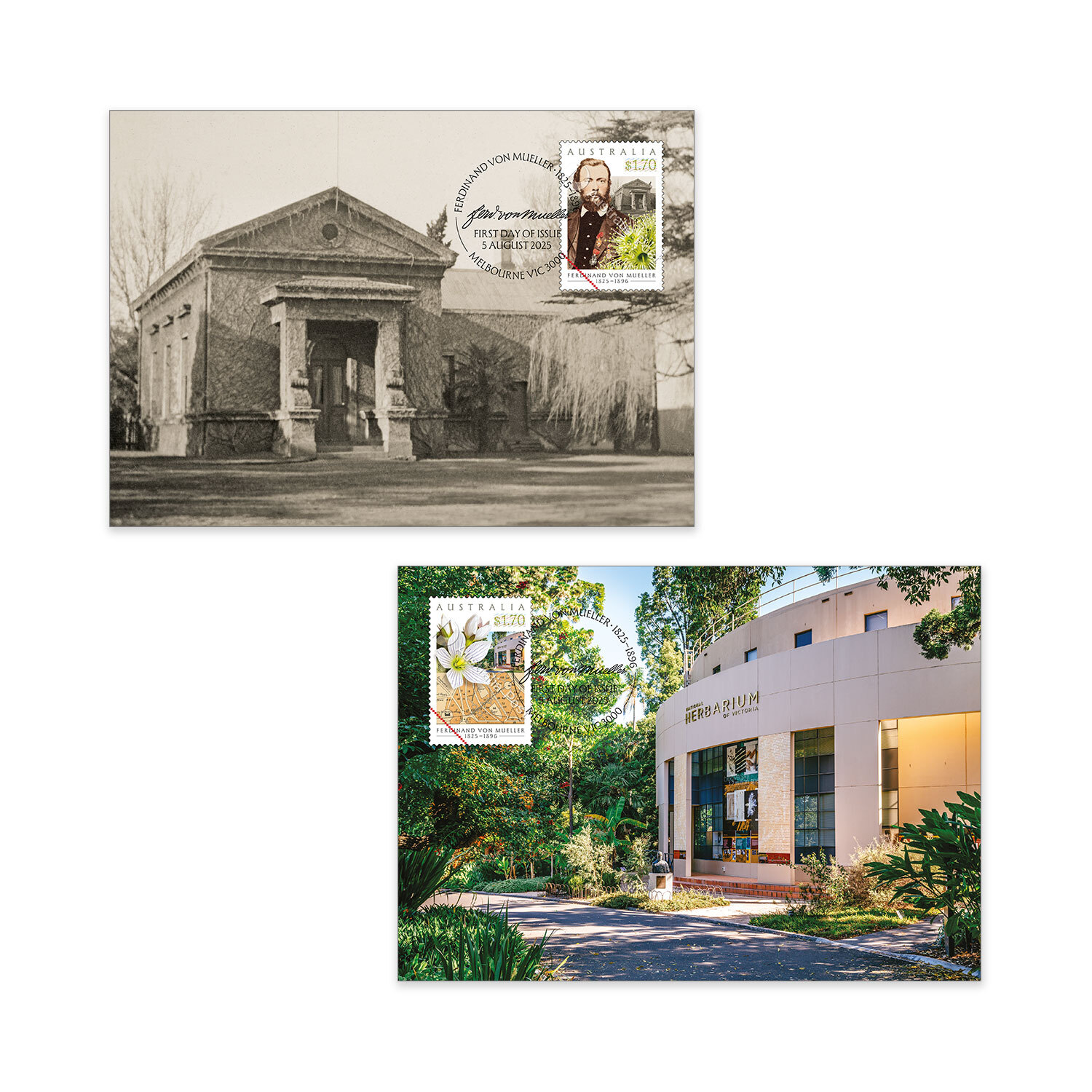 Ferdinand Von Mueller 1825-1896 Maxicard (Set of 2) - Ferdinand Von ...