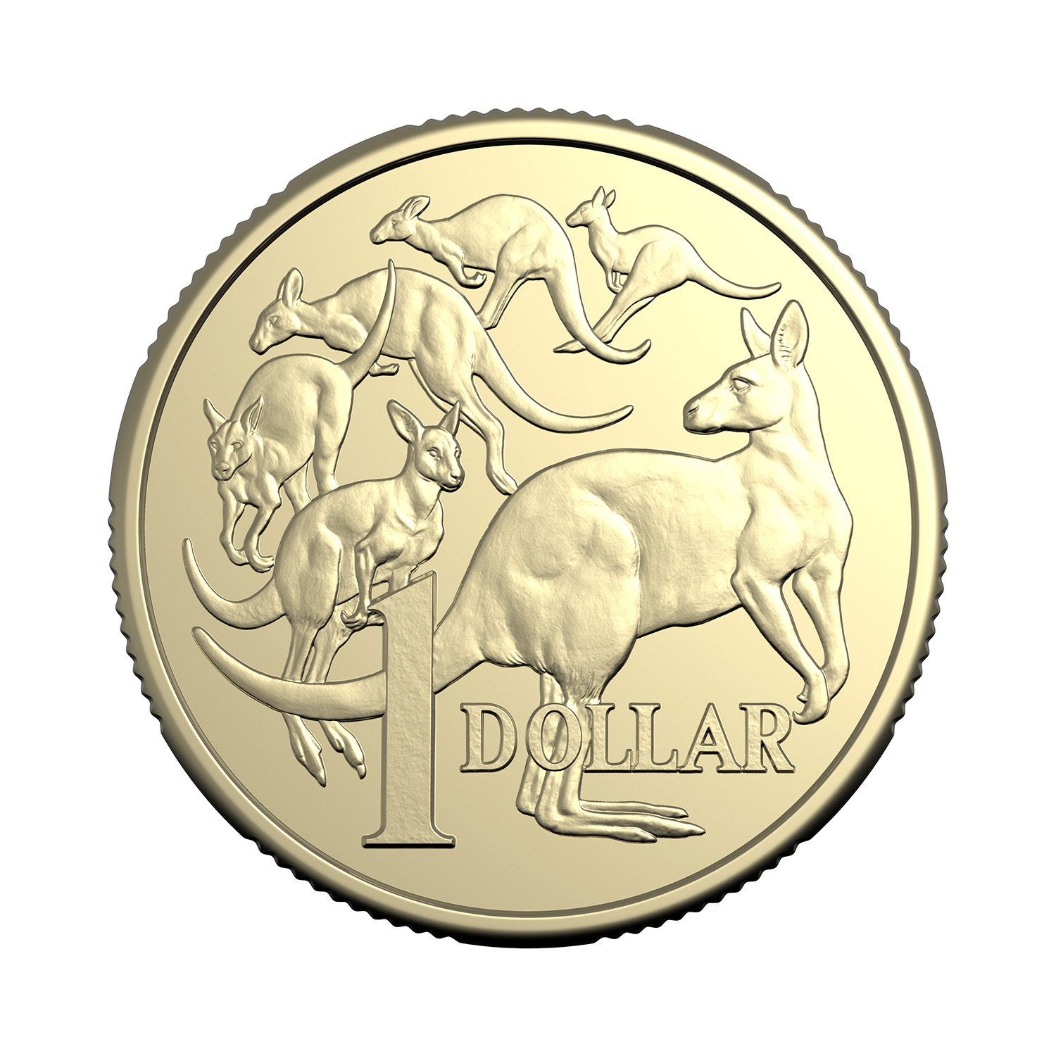 2026 $1 AlBr Coin – Non-Premium Coin Roll - Royal Australian Mint