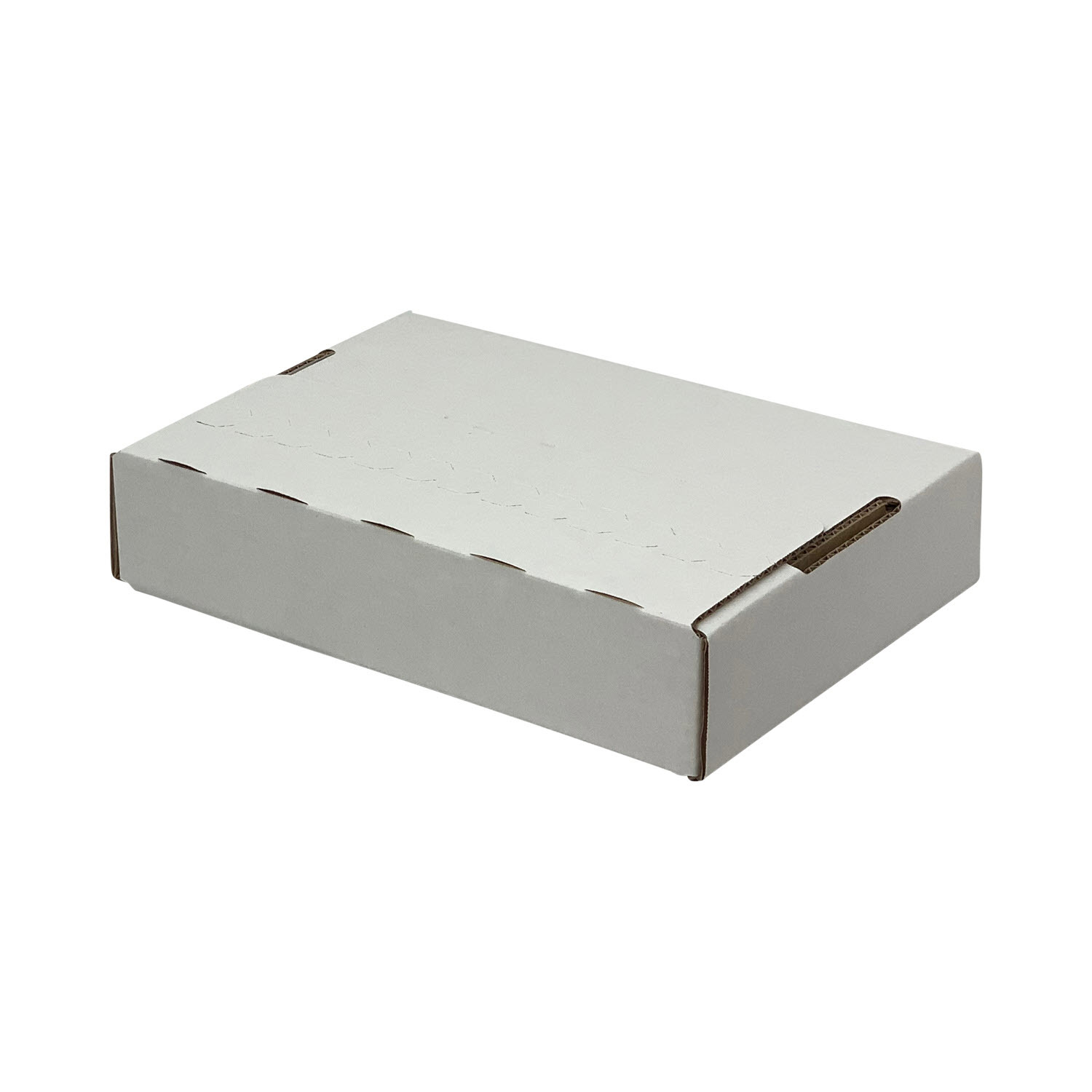 SecureSend Mailing Box Small (255 x 195 x 55mm) White – 10 Pack - Plain ...