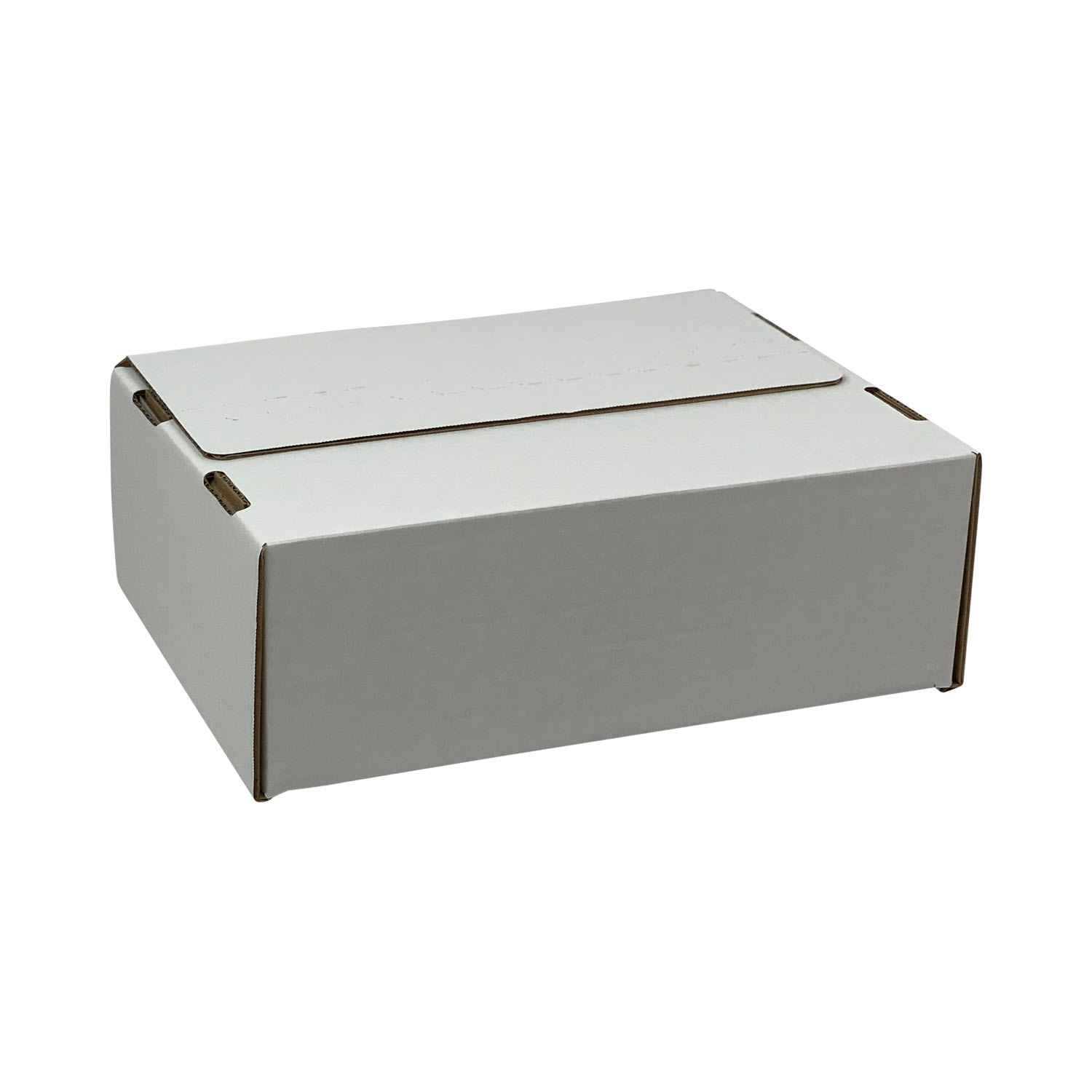 SecureSend Mailing Box Medium (310 x 235 x 115mm) White – 10 Pack ...