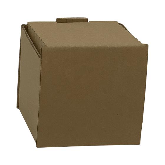 10cm Cube Box (100 x 100 x 100mm) Kraft – 10 Pack - Plain packaging