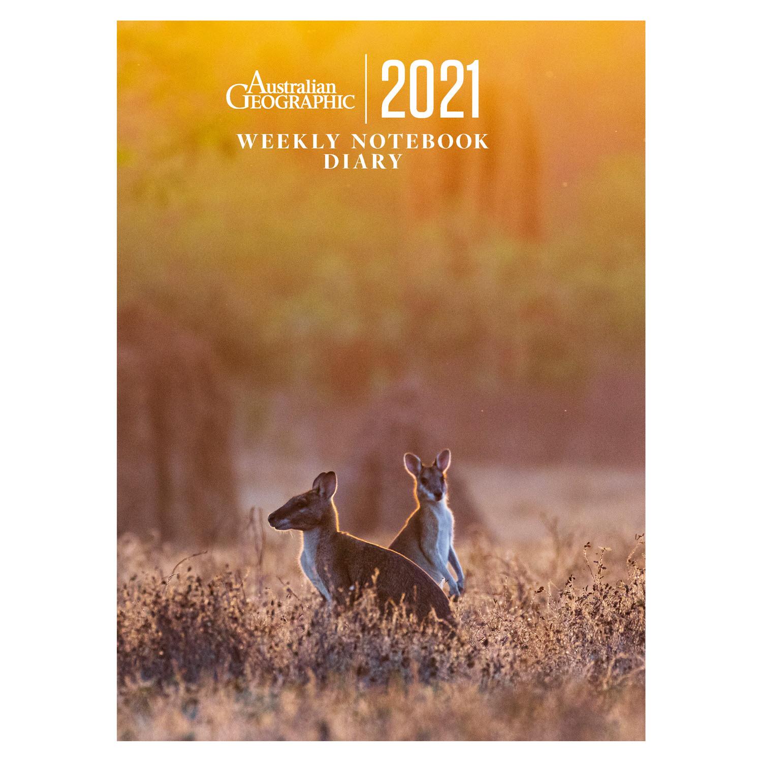 Notebooks & Diaries - Stationery