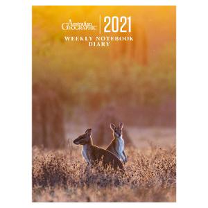 Notebooks & Diaries - Stationery