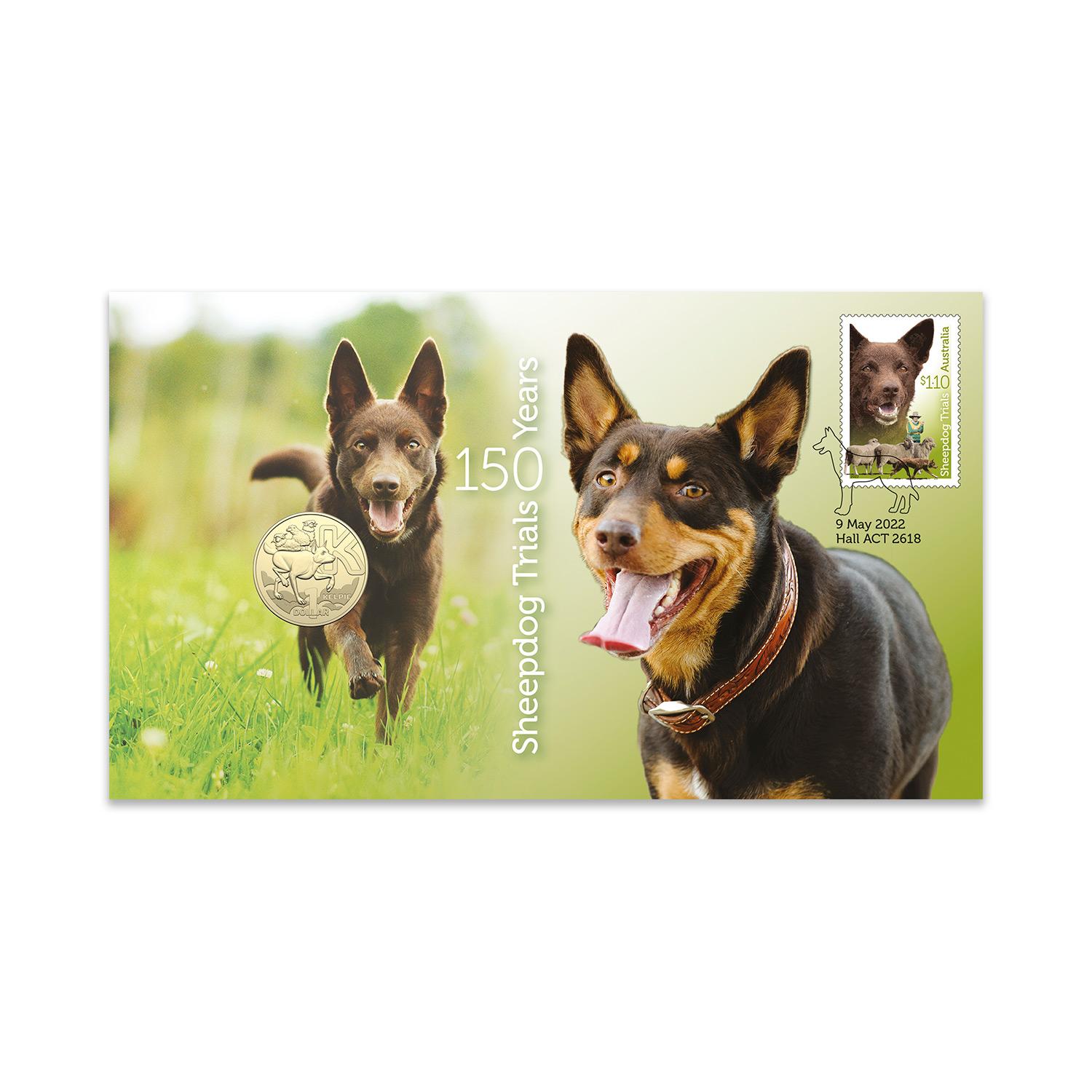 Can A Australian Kelpie Live In New Zealand