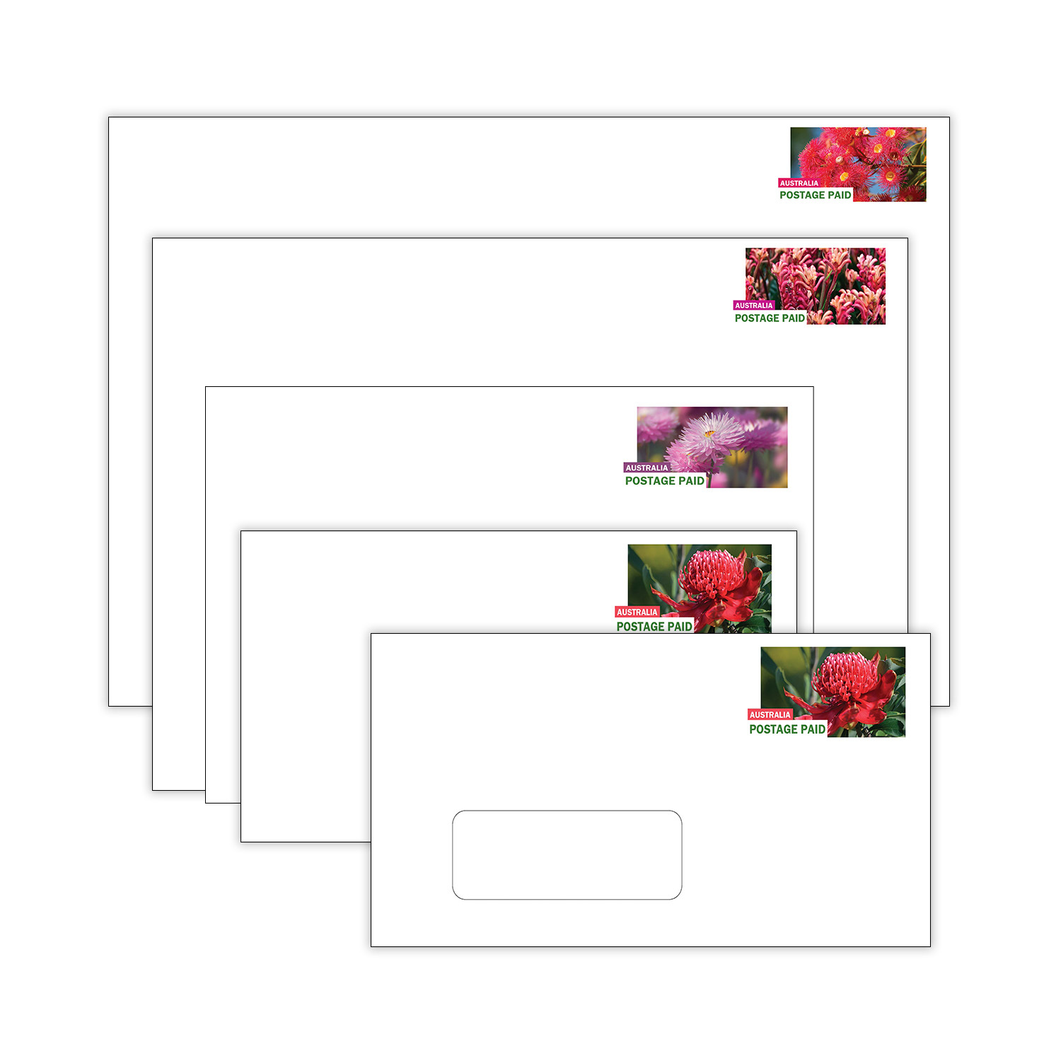 Native Flowers Prepaid Envelope Set - Prepaid envelopes
