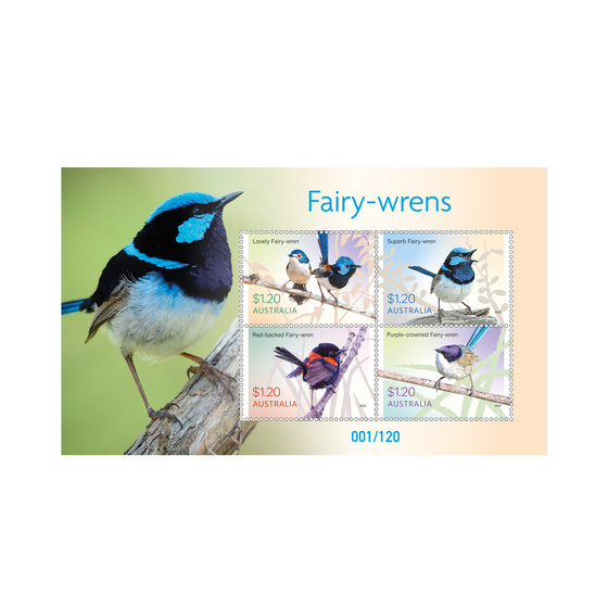 Fairy-wrens Covers Collection - View all